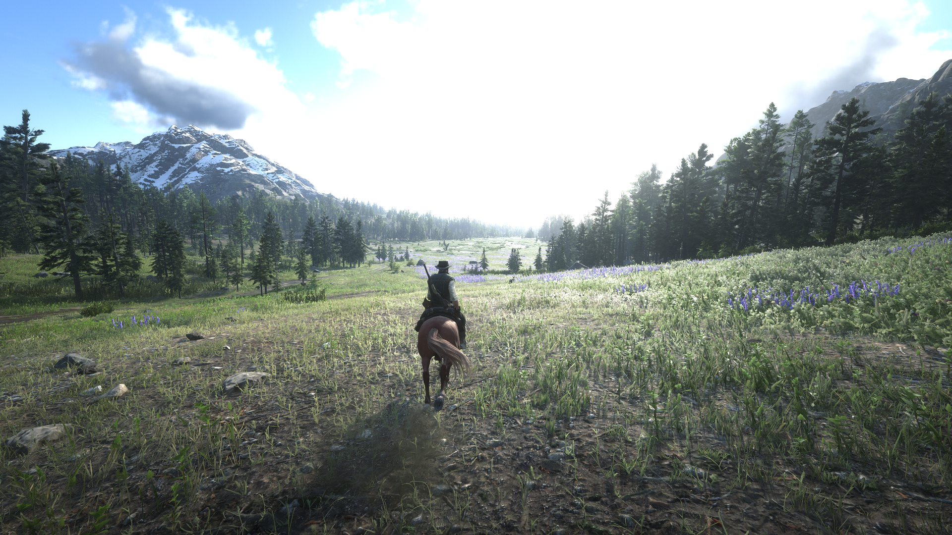 Download Arthur Morgan Video Game Red Dead Redemption 2 Image