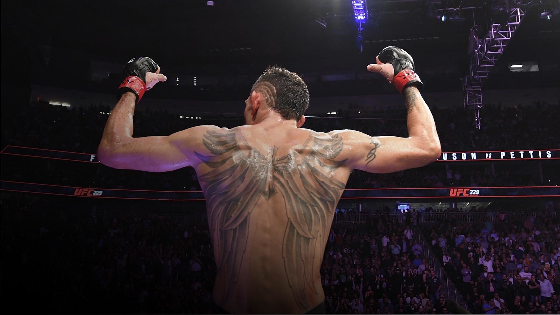 Download Tony Ferguson UFC Sports Image