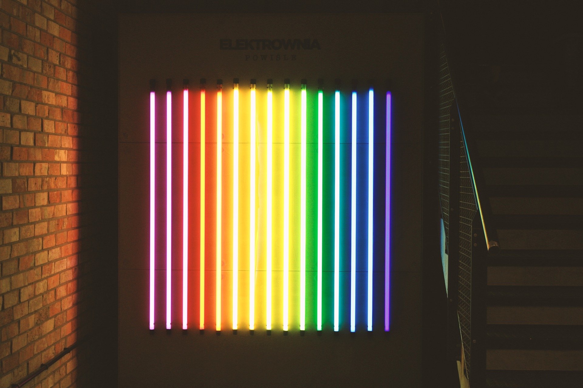 Colored Neon Lights by Helena Meier - Image Abyss