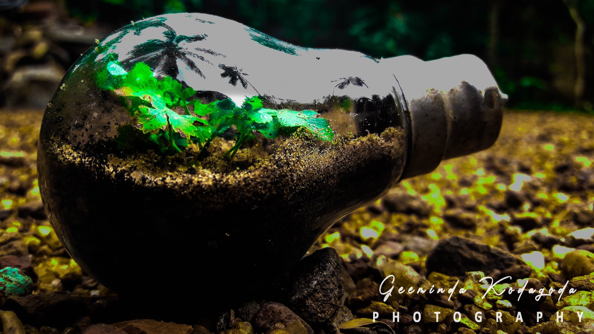 Download Light Bulb Photography Nature Image by Geeminda