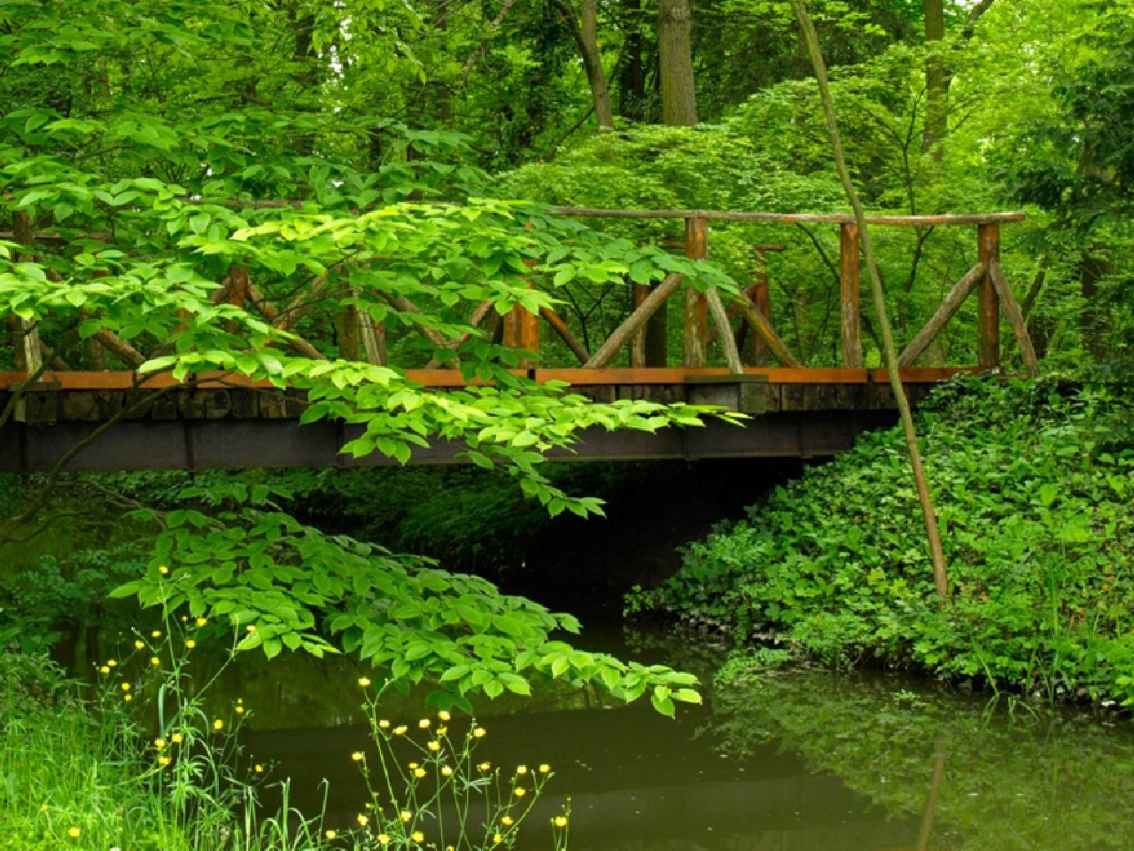 Download Man Made Bridge Image