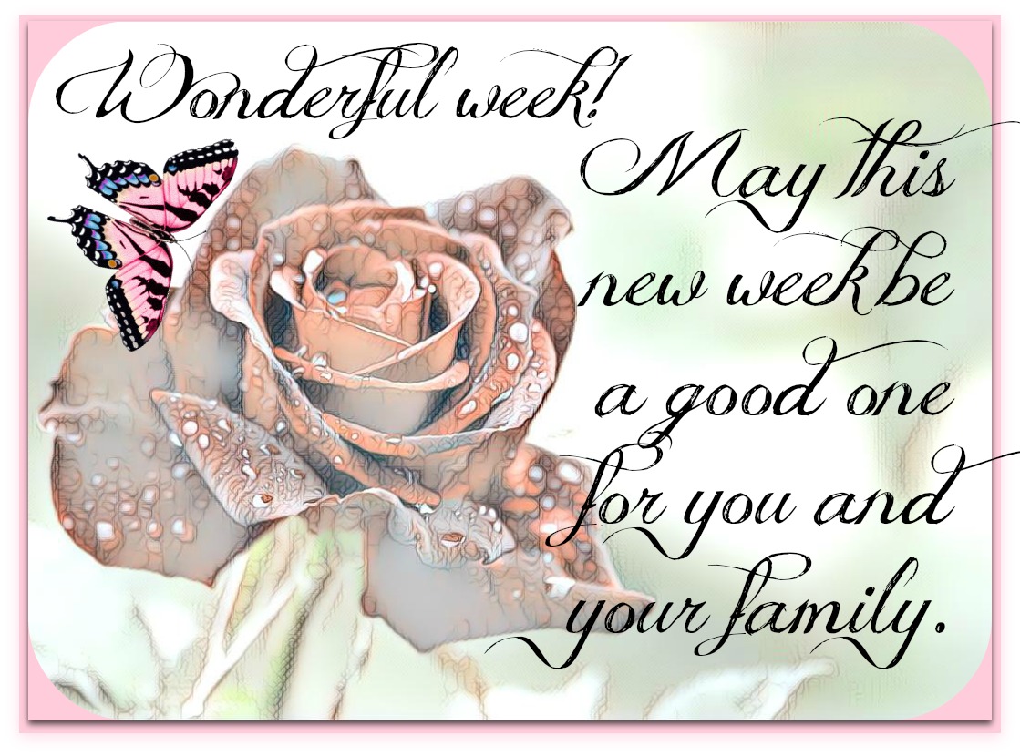 WONDERFUL WEEK by GREENFROGGY1