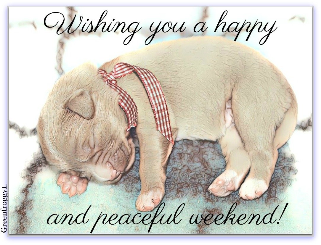 PEACEFUL WEEKEND Image - ID: 361330 - Image Abyss