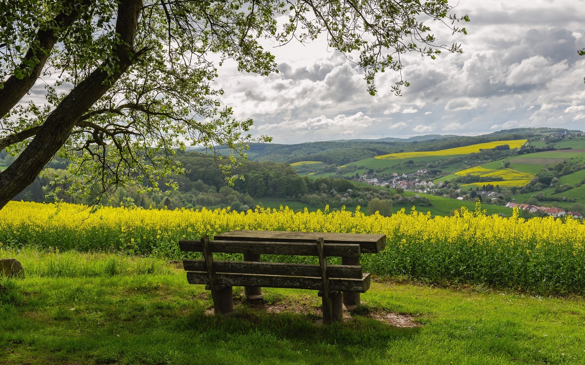 Download Landscape Man Made Bench Image