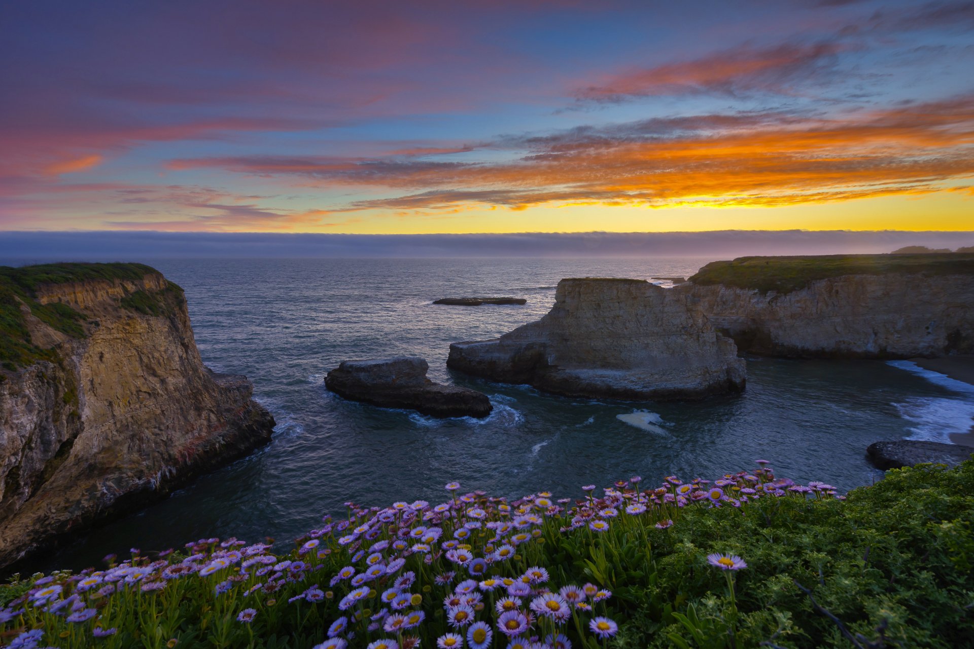 Download Sunset Flower Grass Ocean Coast Nature Coastline Image