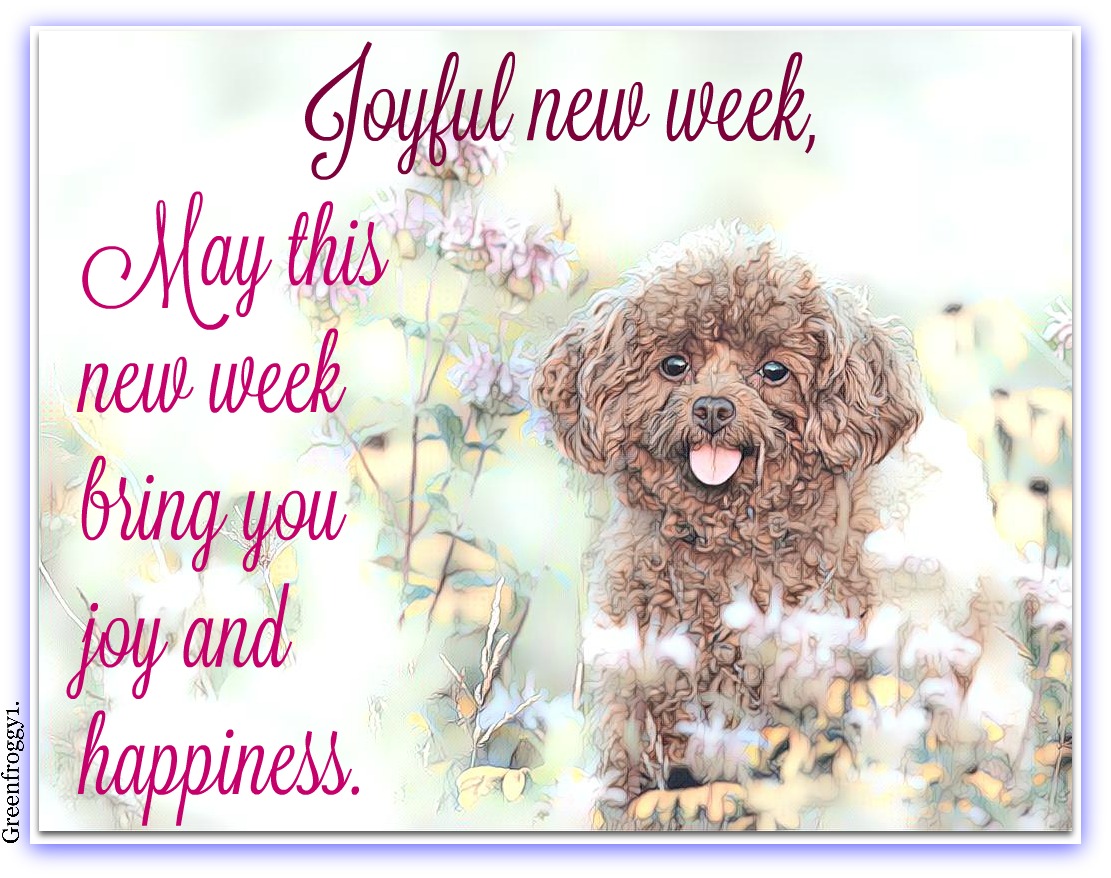 JOYFUL NEW WEEK by GREENFROGGY1