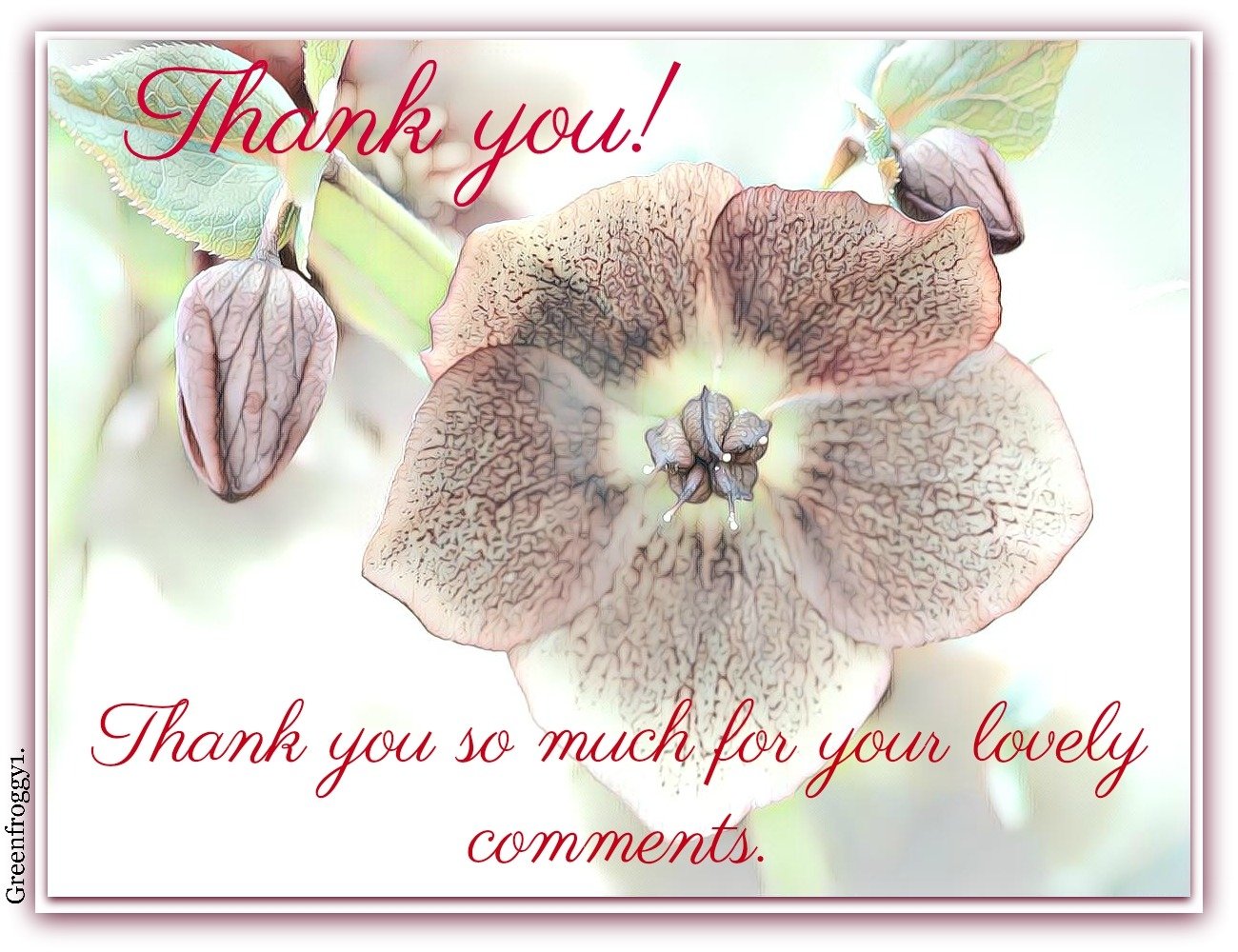 THANK YOU by GREENFROGGY1