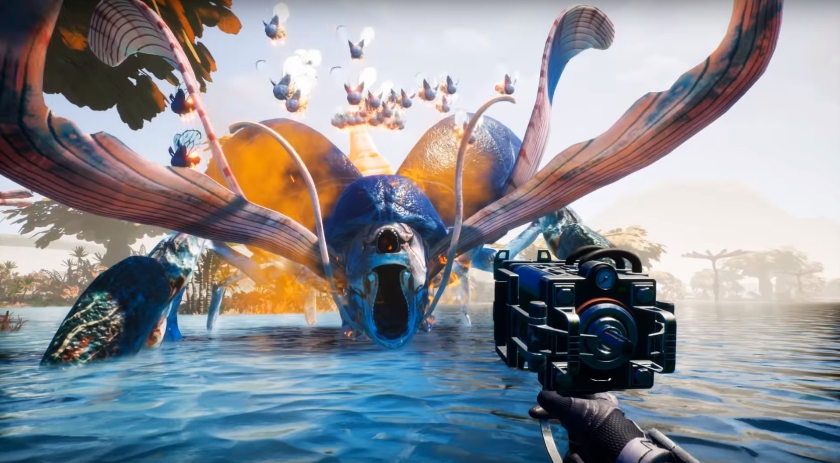 Underwater - Desktop Wallpapers, Phone Wallpaper, PFP, Gifs, and More!