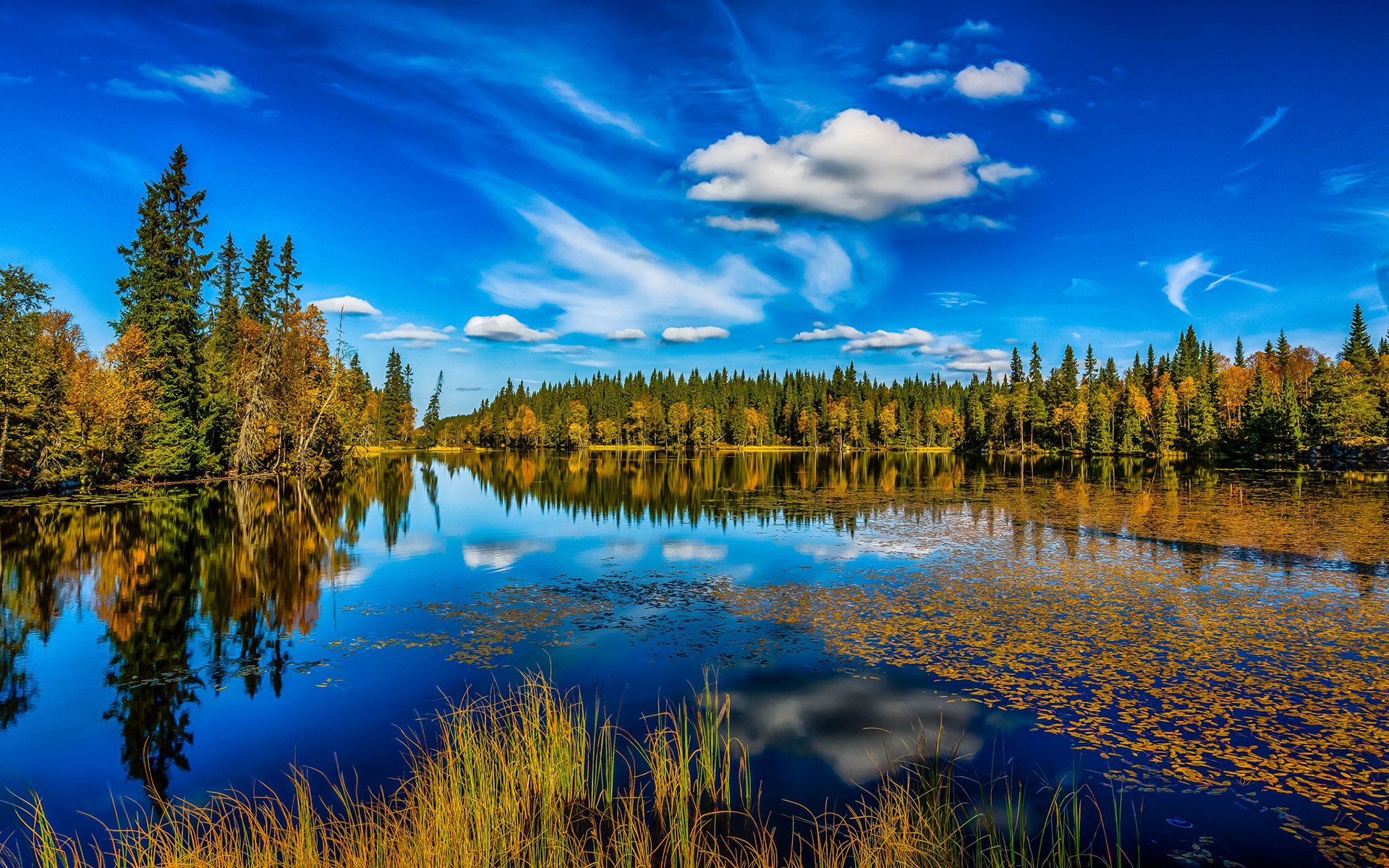 Download Cloud Sky Fall Forest Nature Lake Image