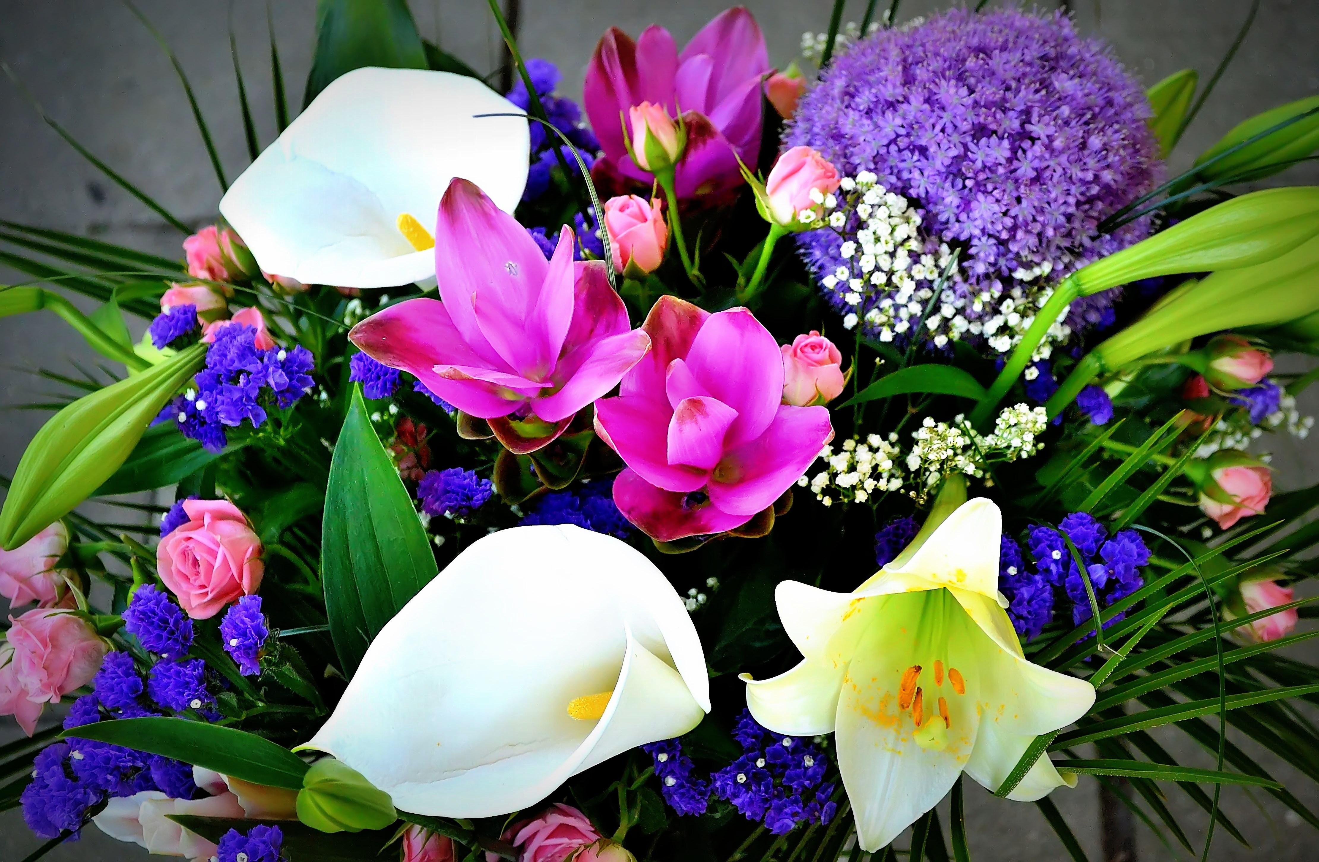 Flower Picture - Image Abyss