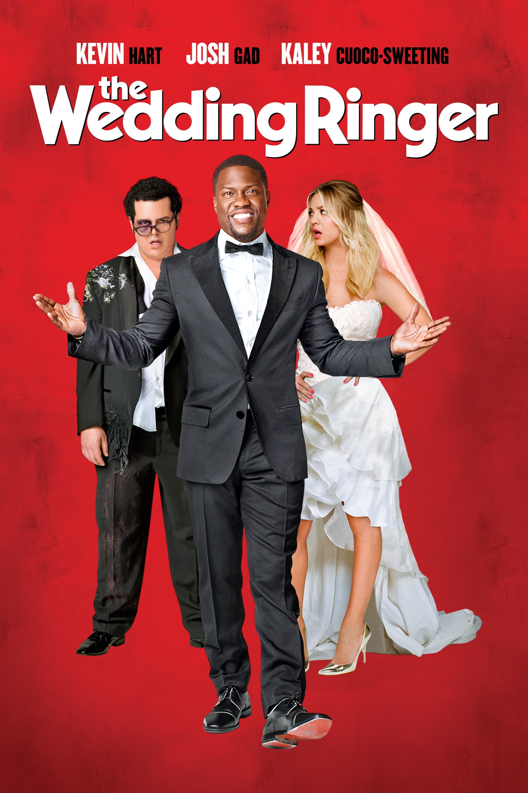 Download Movie The Wedding Ringer Image
