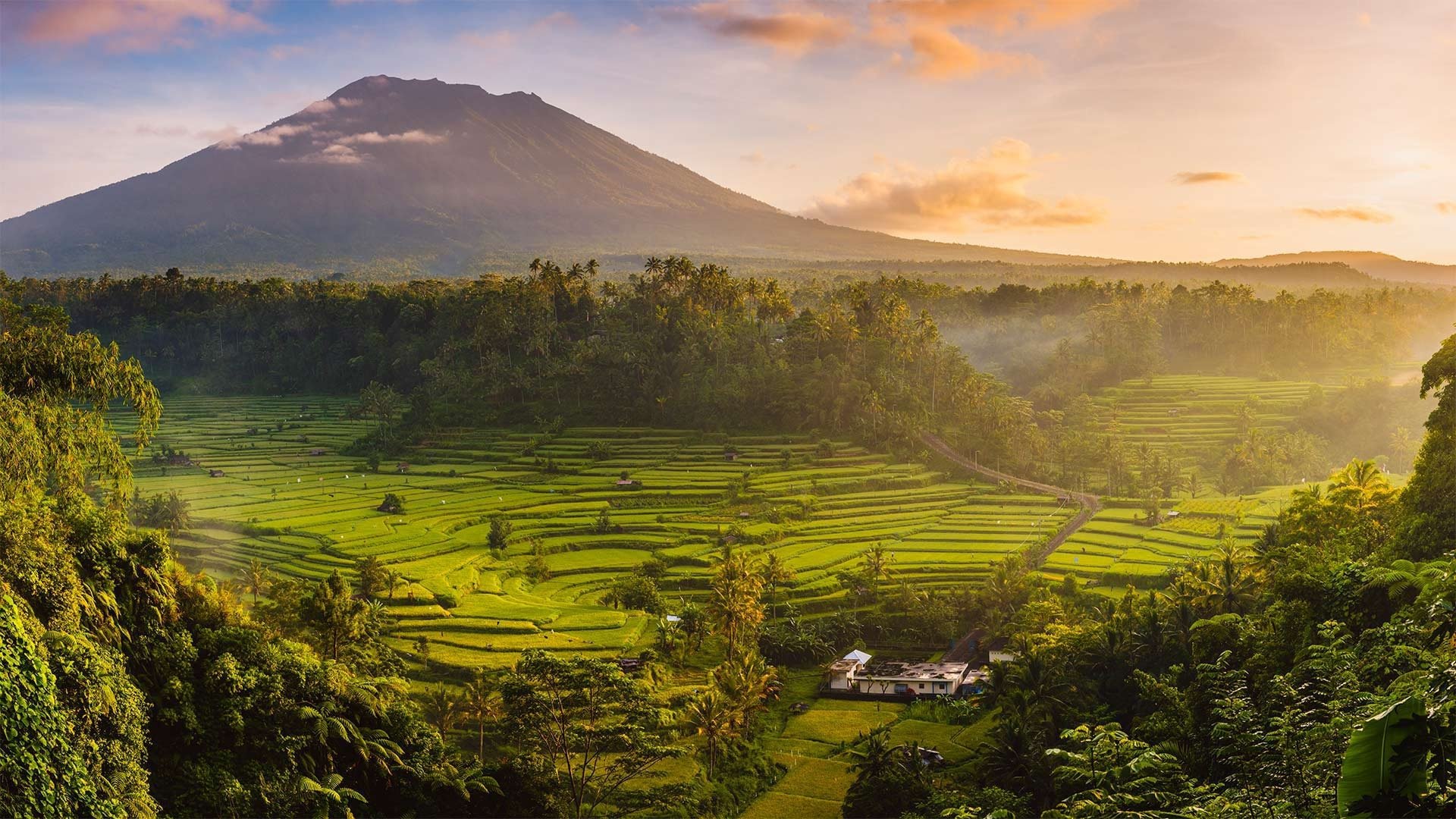 Rice Terrace - Desktop Wallpapers, Phone Wallpaper, PFP, Gifs, and More!