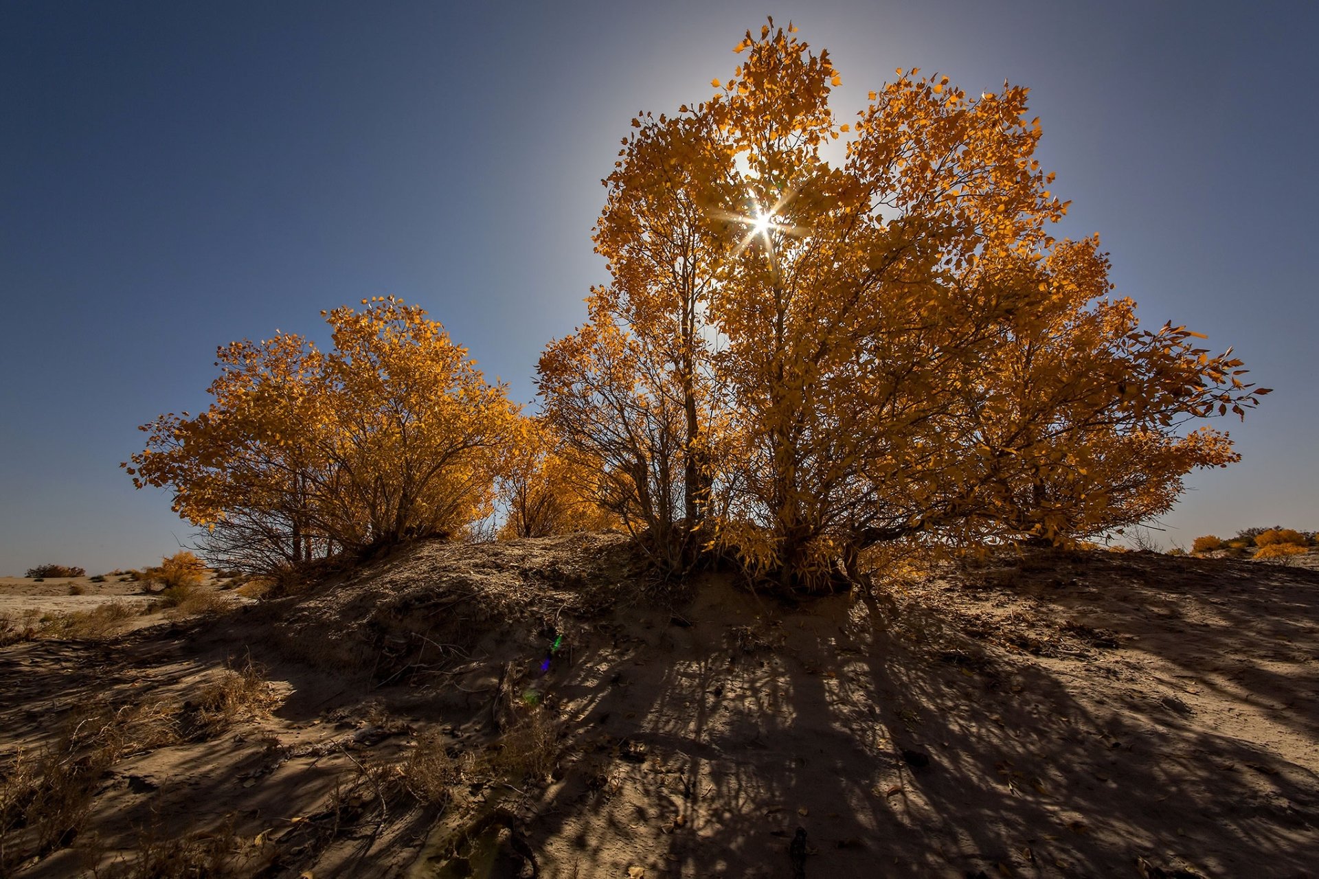 Sunbeam Image - ID: 371627 - Image Abyss