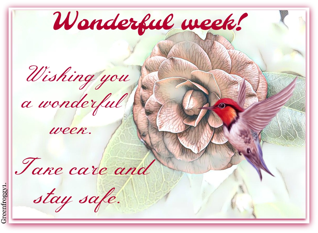 WONDERFUL WEEK By GREENFROGGY1 Image Abyss