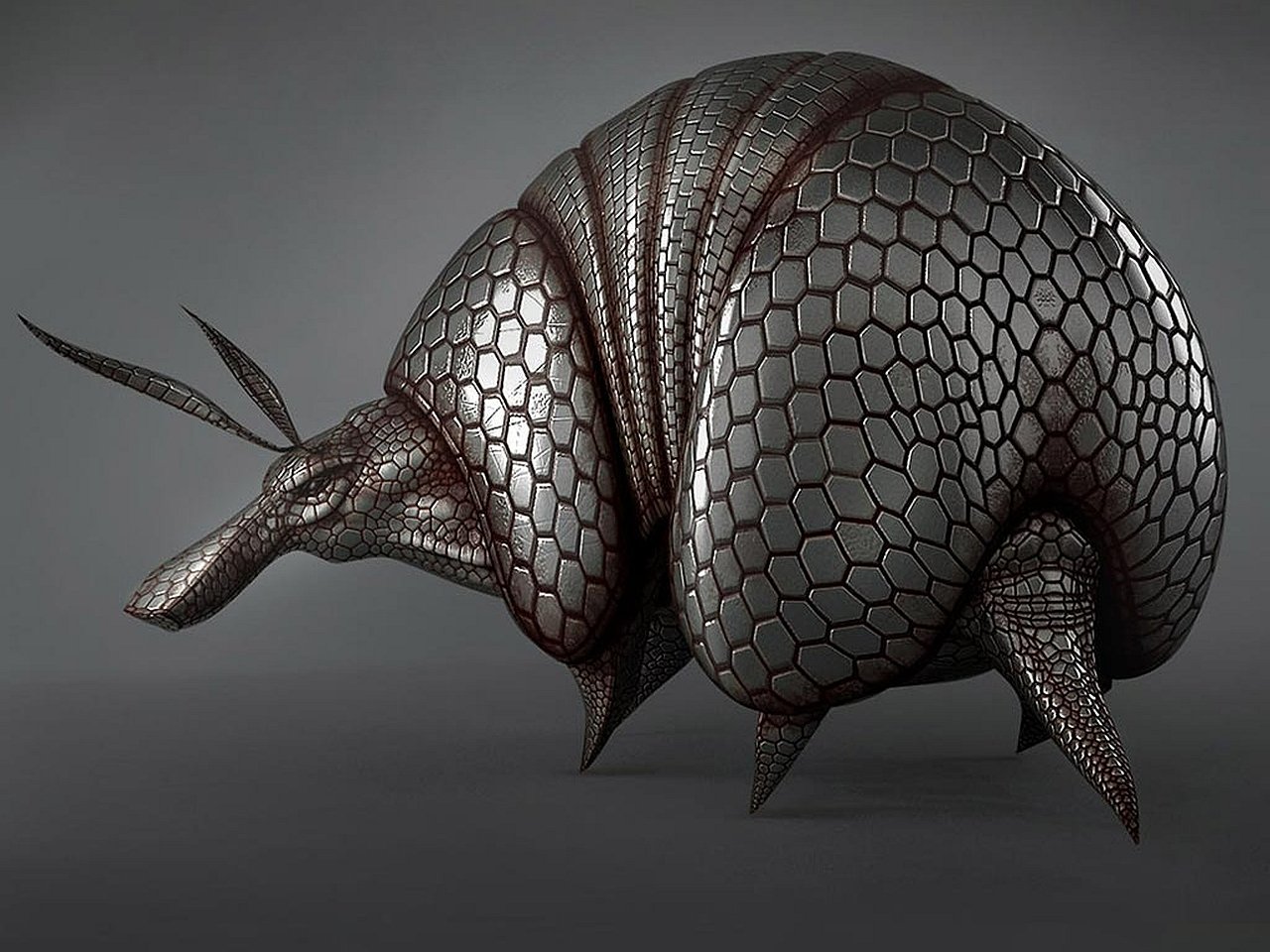 Armadillo - Desktop Wallpapers, Phone Wallpaper, PFP, Gifs, and More!