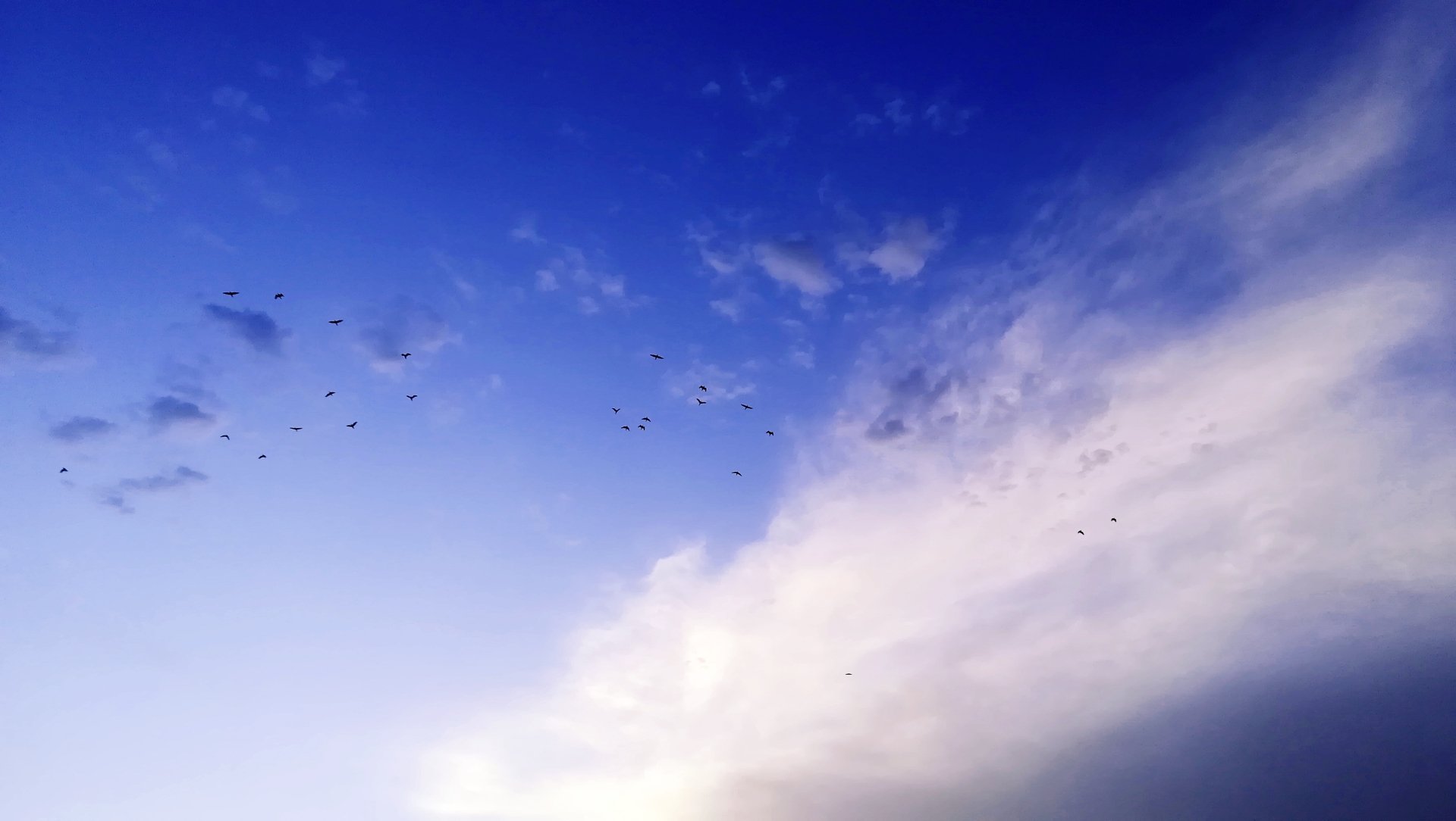 Algeria - Desktop Wallpapers, Phone Wallpaper, PFP, Gifs, and More!