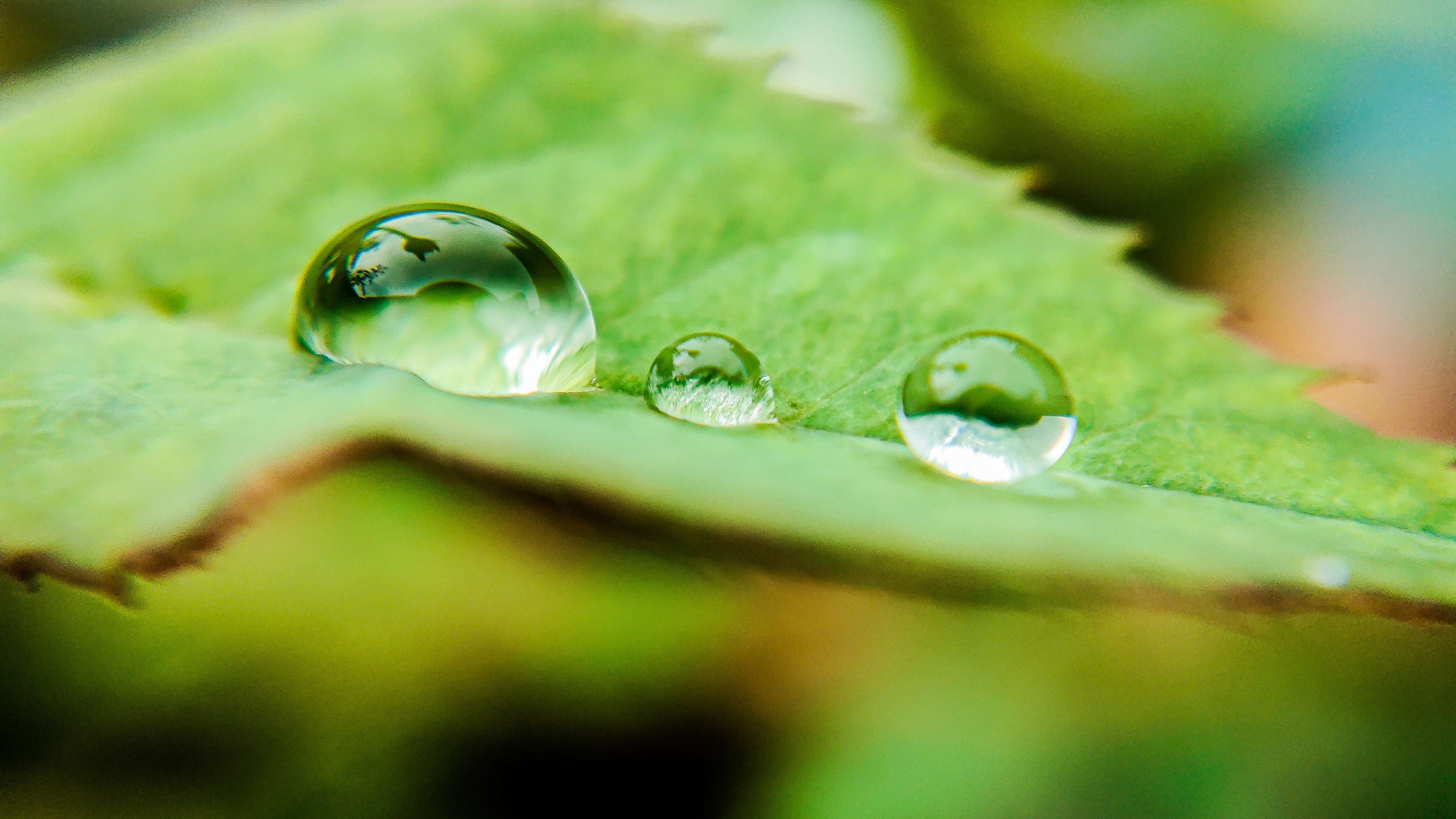 Download Photography Water Drop Image