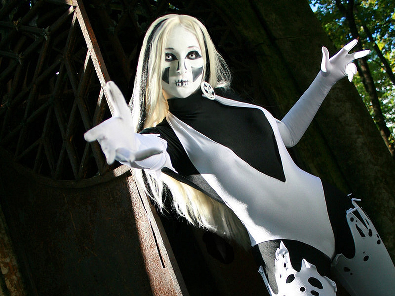 silver banshee Picture by Reki-Konran - Image Abyss