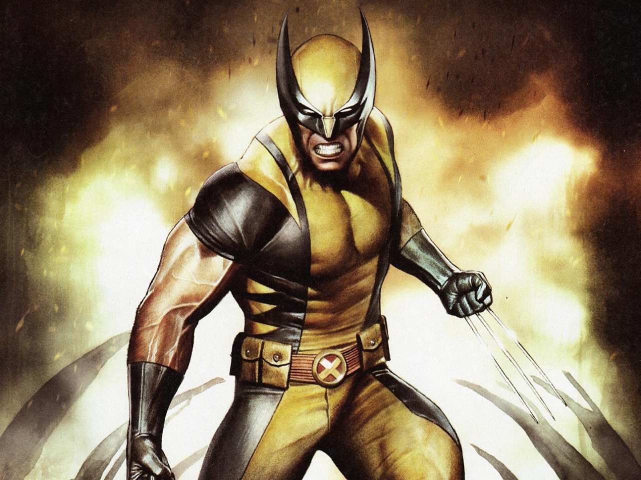 Wolverine Picture - Image Abyss