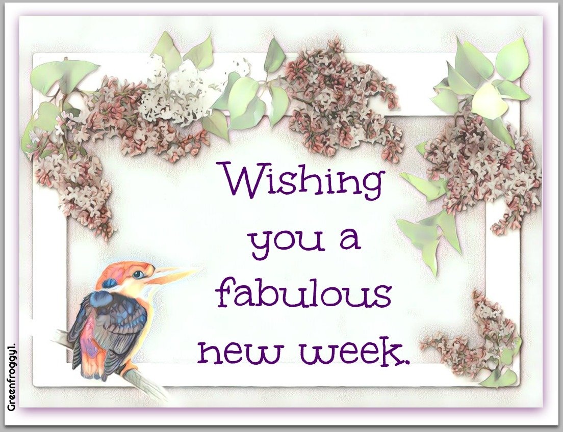 FABULOUS WEEK Image - ID: 384629 - Image Abyss