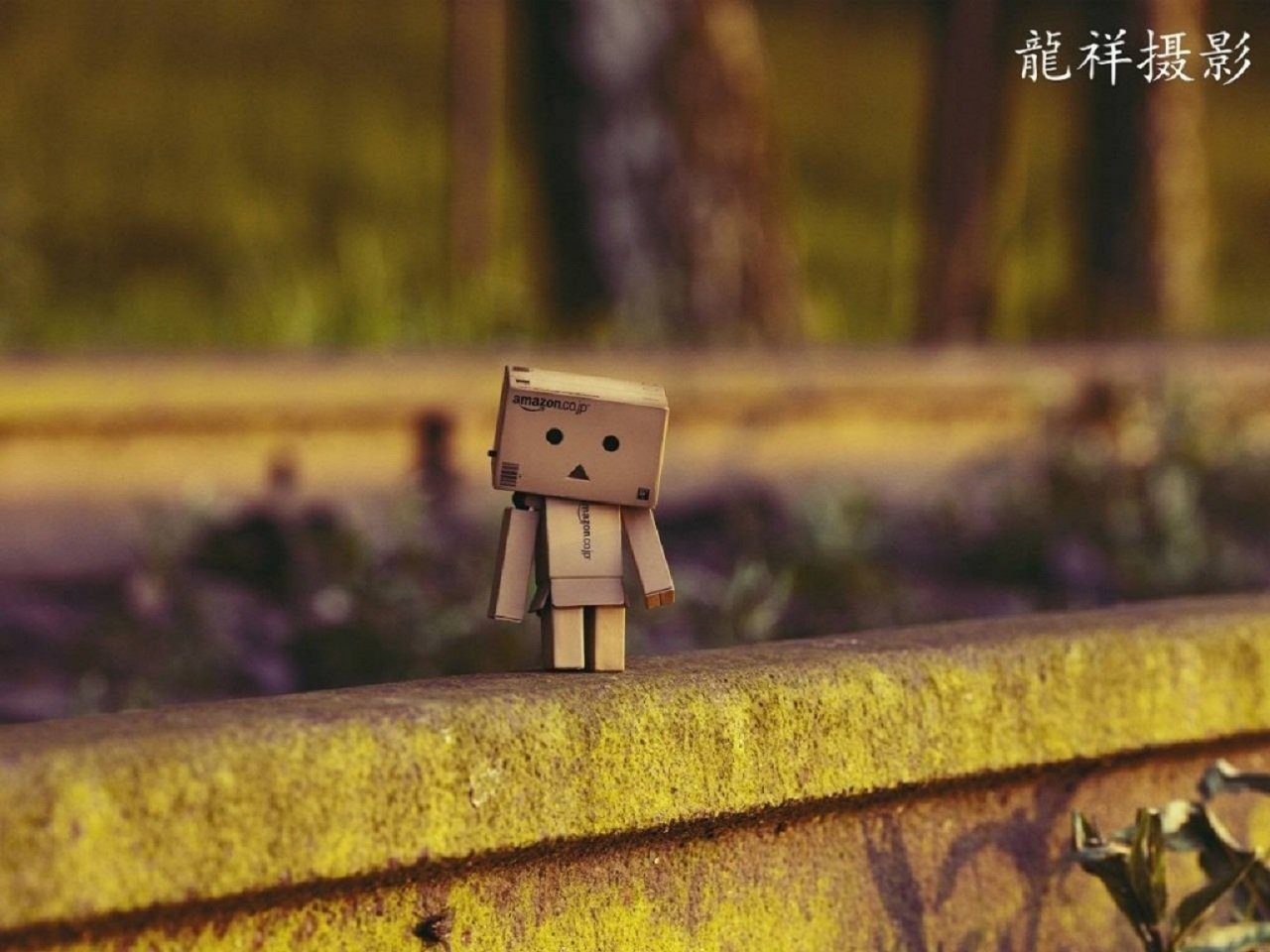 Download Misc Danbo Image