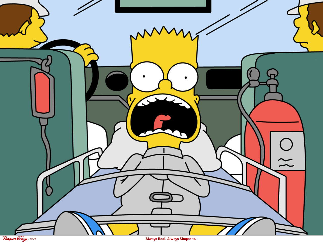 Download Bart Simpson TV Show The Simpsons Image
