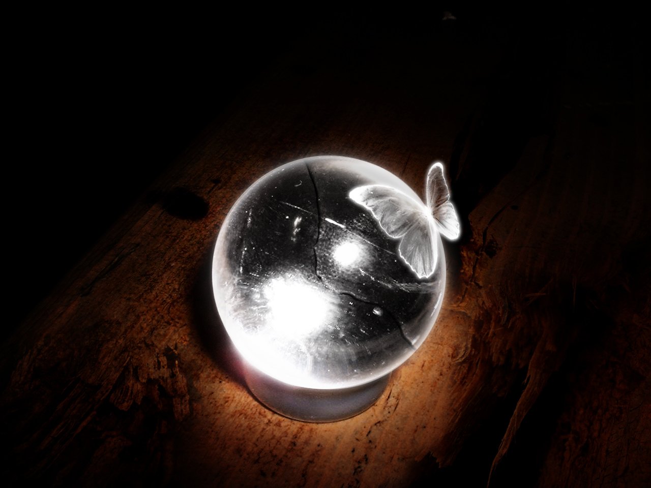 Luminous CGI Butterfly on Crystal Orb