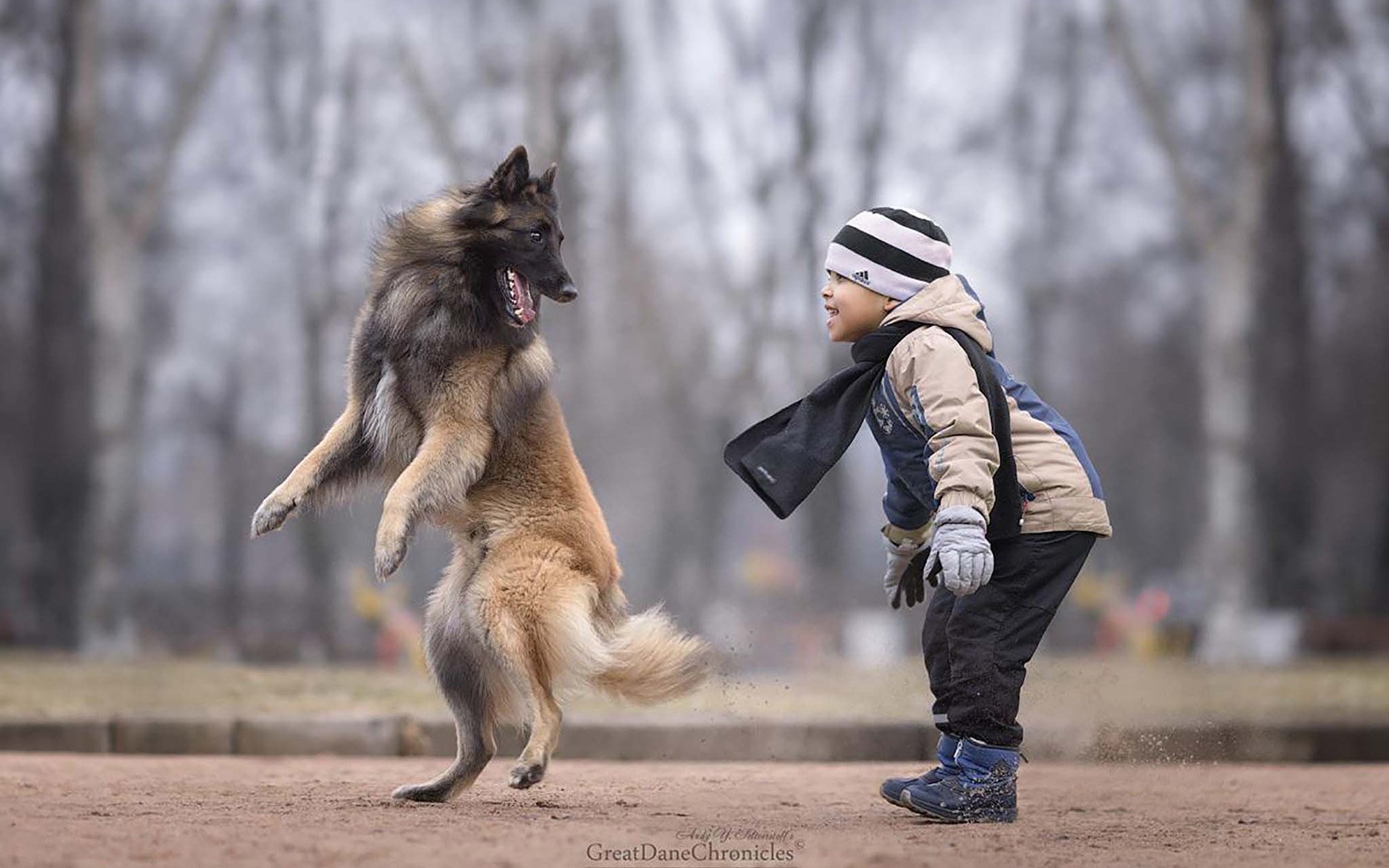 Download Mood Dog Photography Child Image