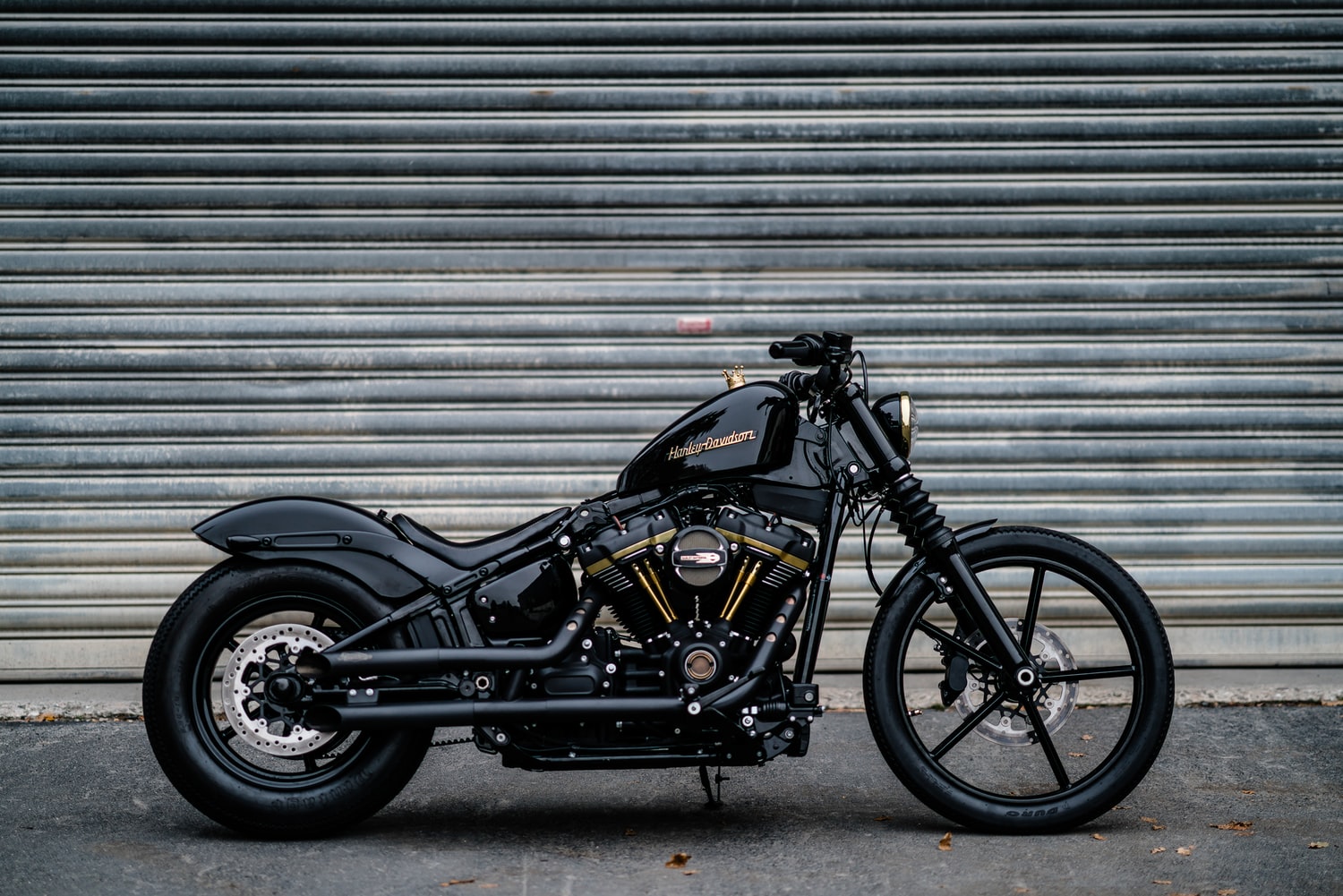 Download Vehicle Harley-Davidson Image