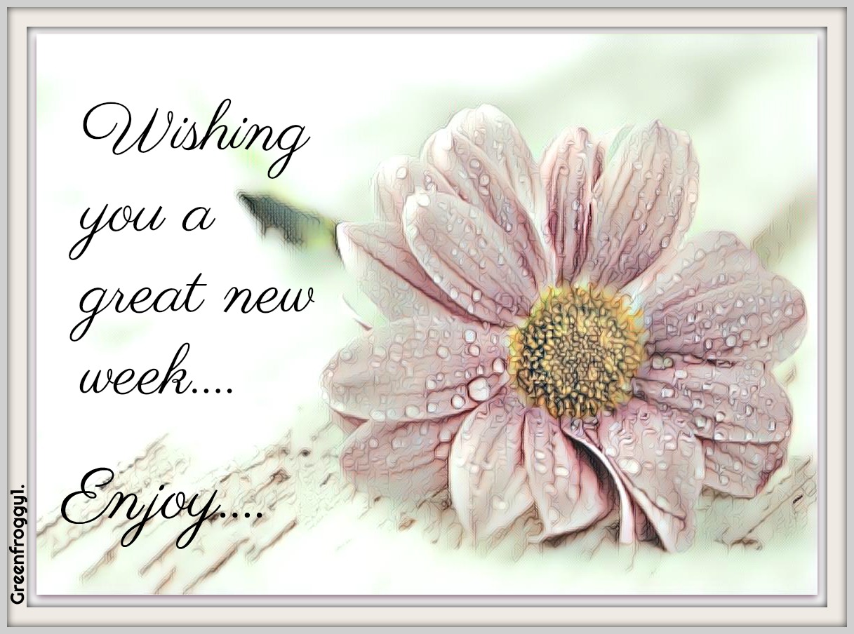 GREAT NEW WEEK by GREENFROGGY1