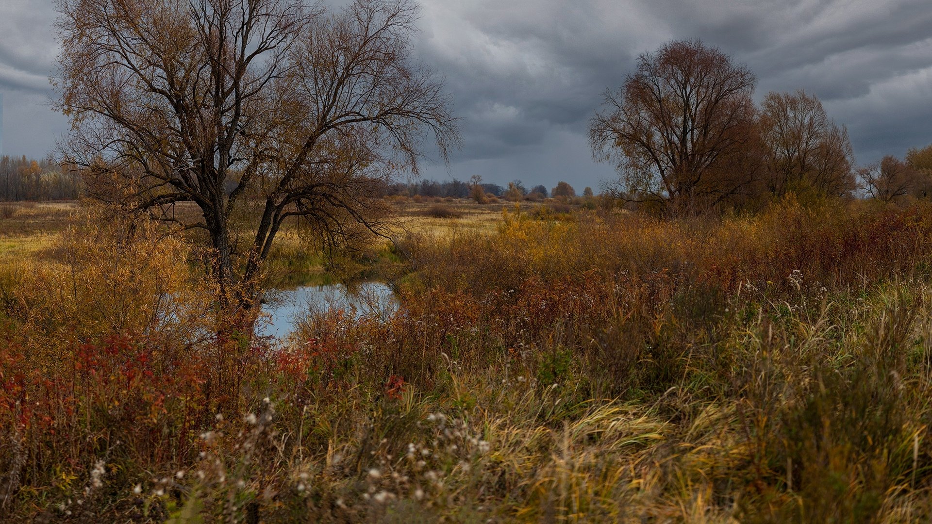 Fall Image - ID: 394303 - Image Abyss