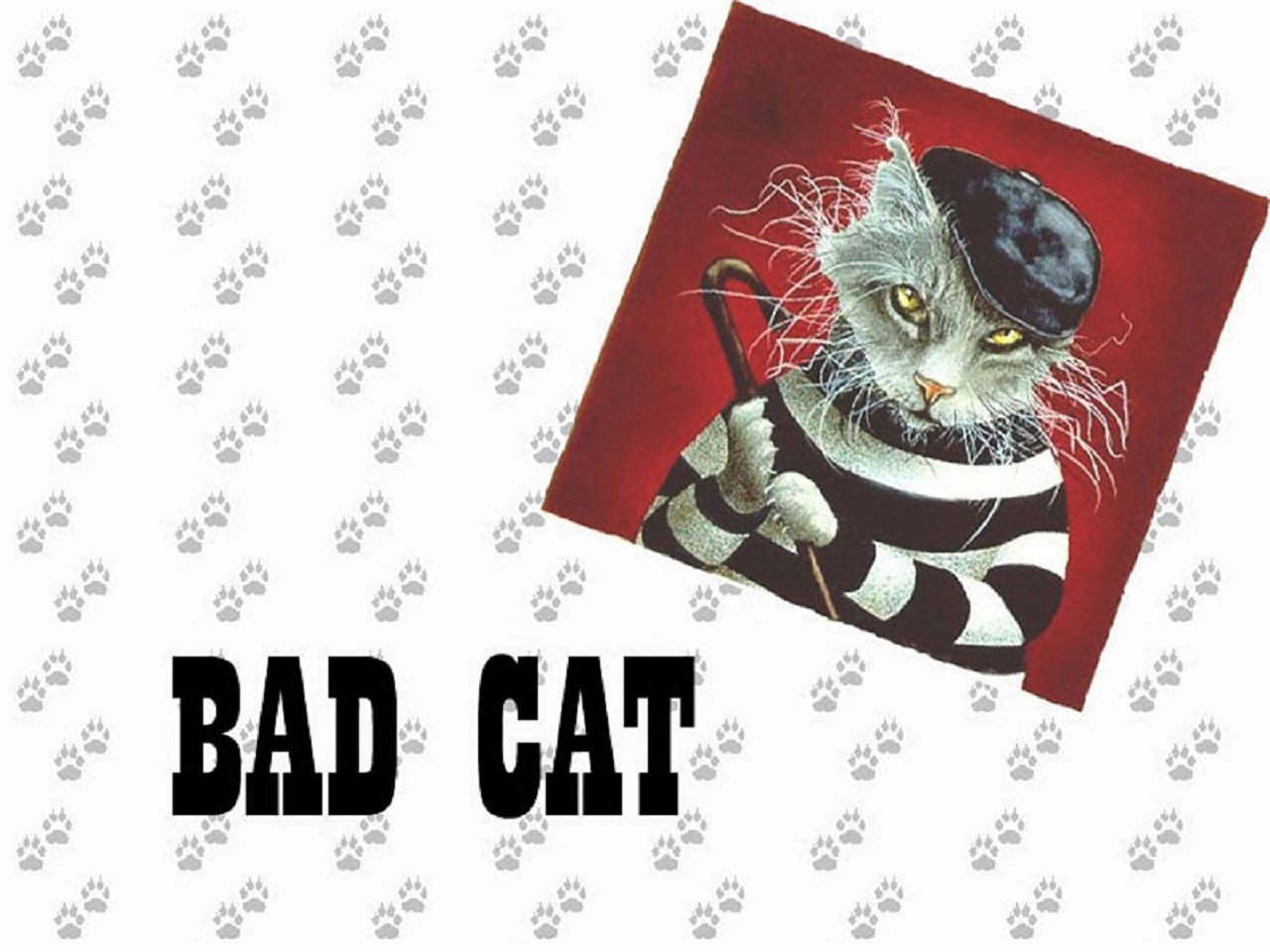 Bad Cat Image - ID: 394325 - Image Abyss