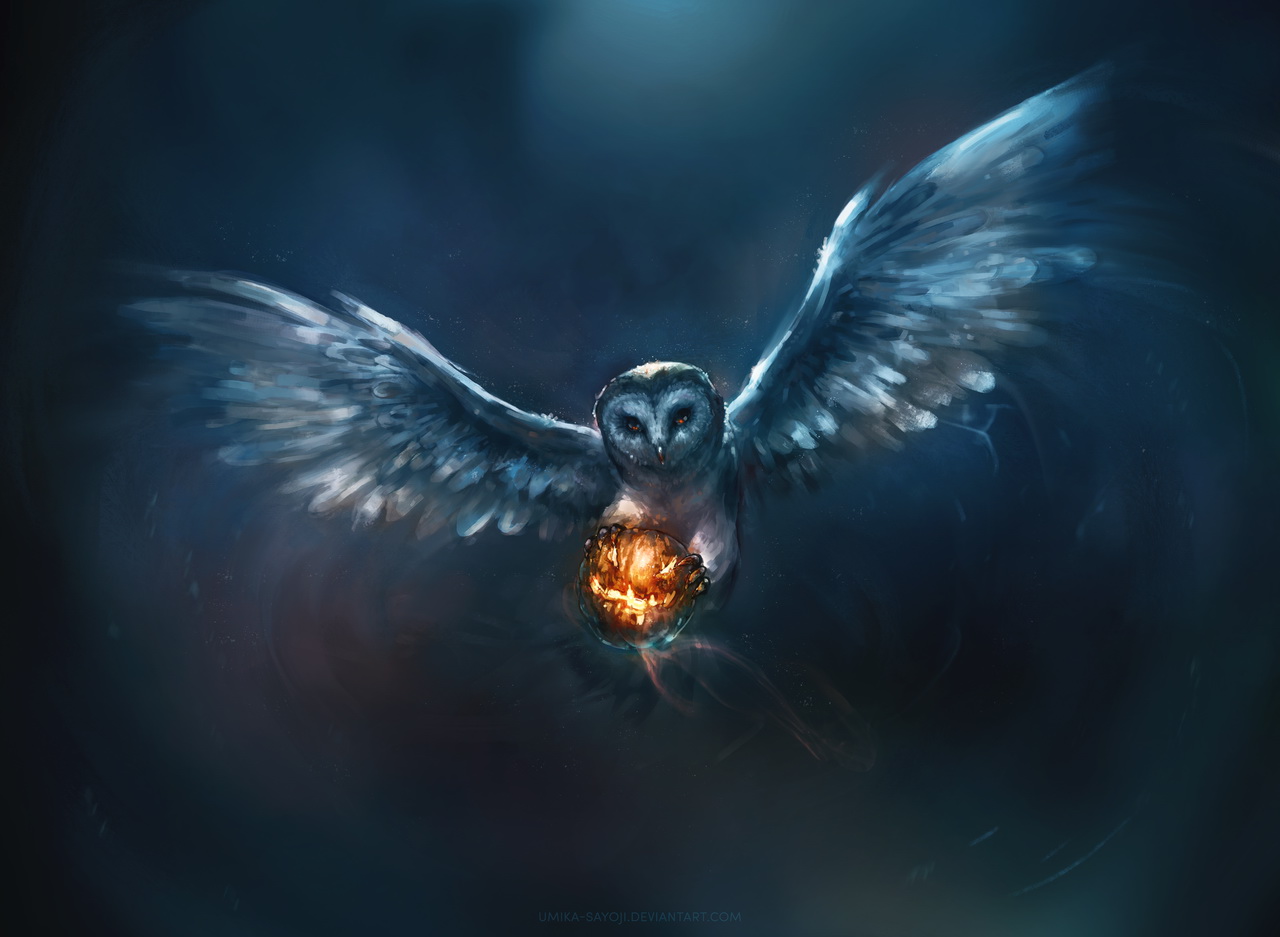Majestic Night Owl in Flight