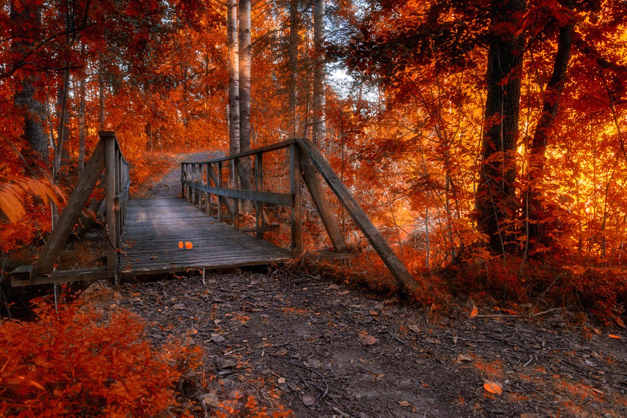 Bridge Image - ID: 395209 - Image Abyss