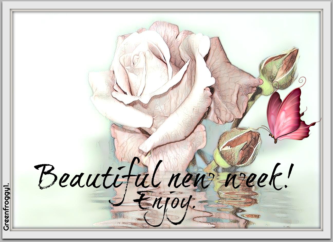 BEAUTIFUL NEW WEEK by GREENFROGGY1 - Image Abyss