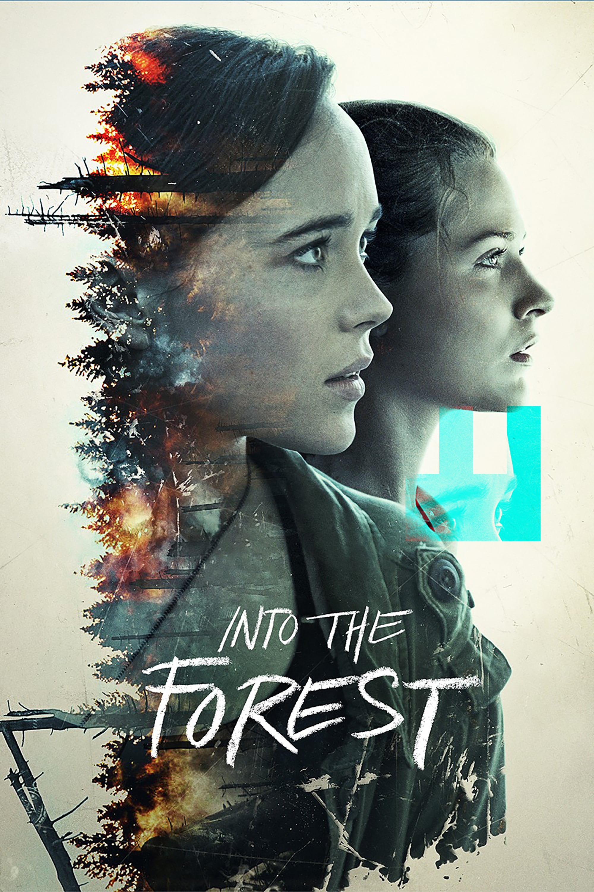 Into the Forest Picture - Image Abyss