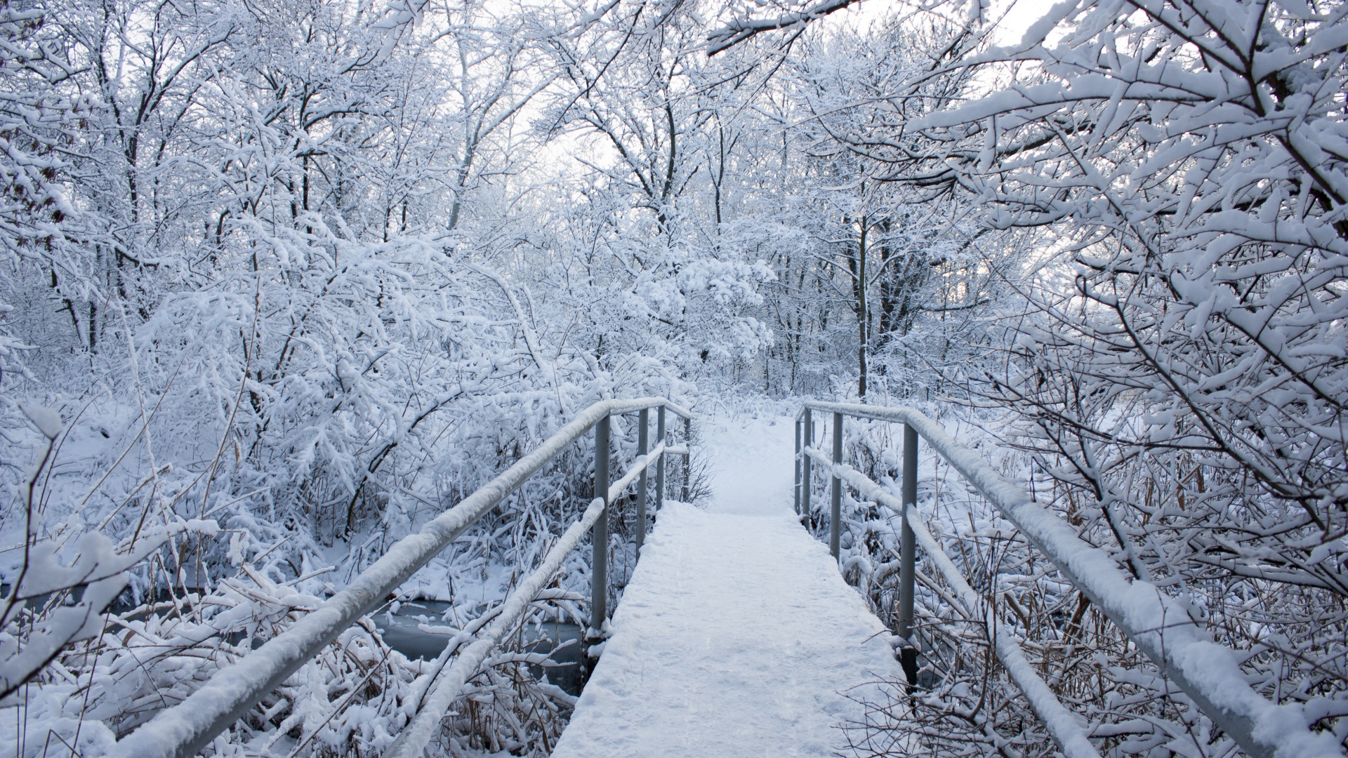 Download Bridge Snow Photography Winter Image