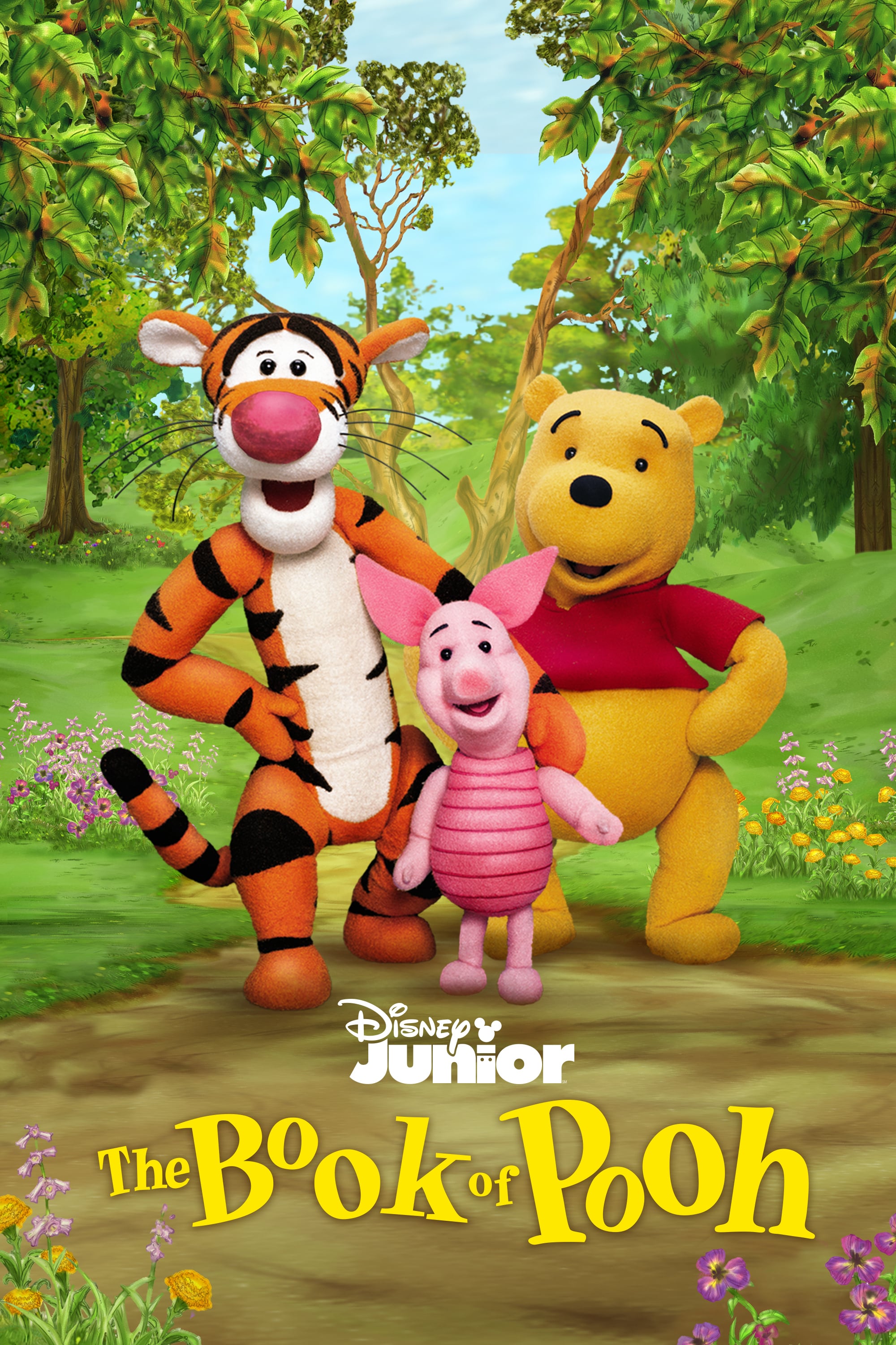 Download TV Show The Book Of Pooh Image