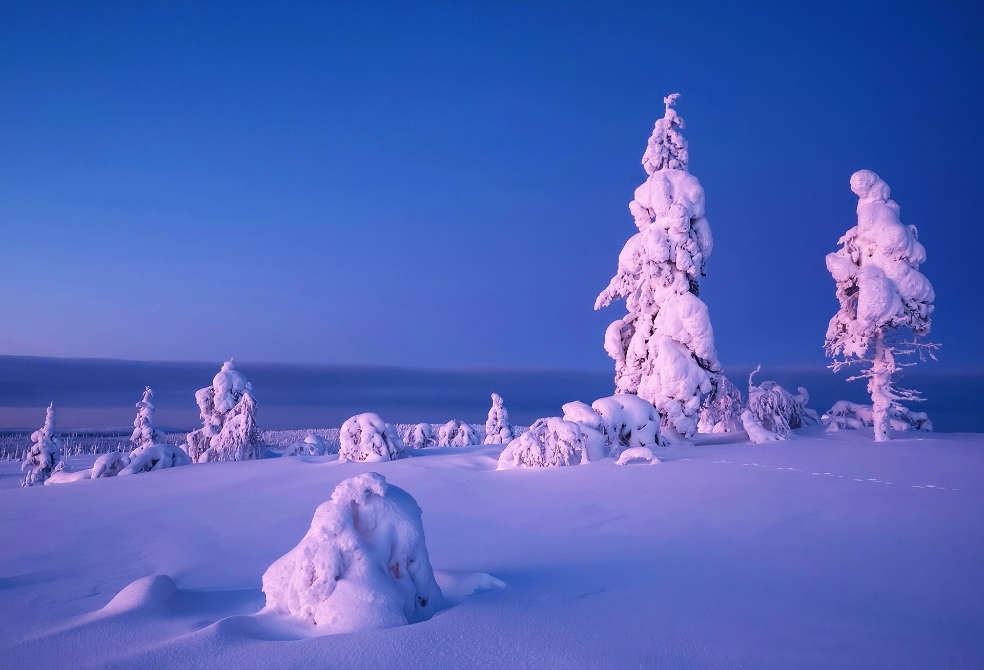 Winter Picture - Image Abyss