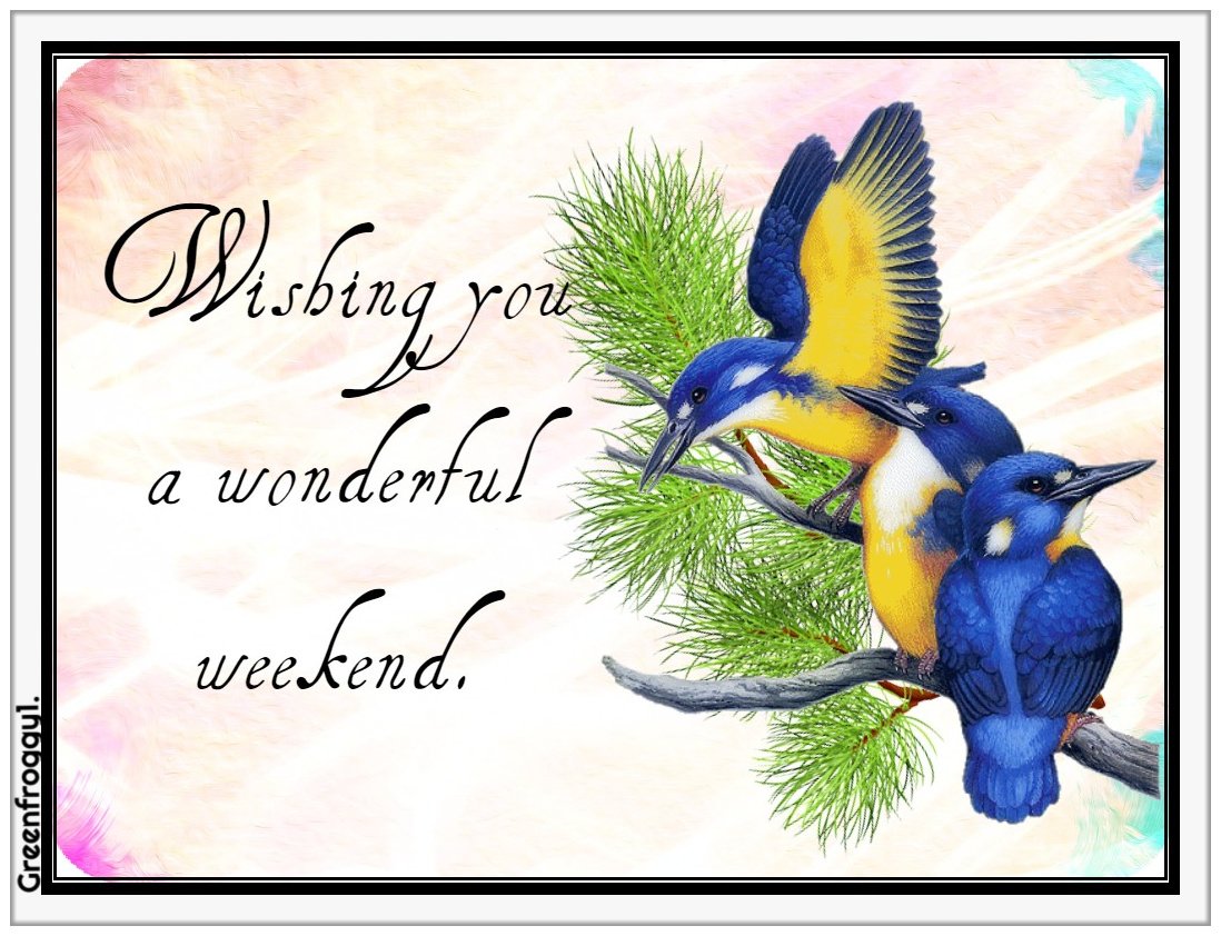 WONDERFUL WEEKEND by GREENFROGGY1