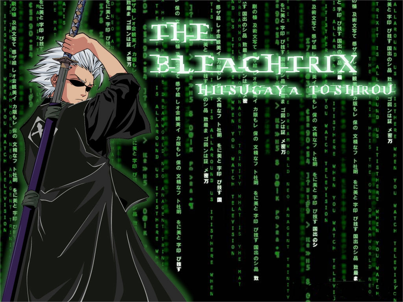 The Bleach Matrix: Tōshirō Hitsugaya Unleashed