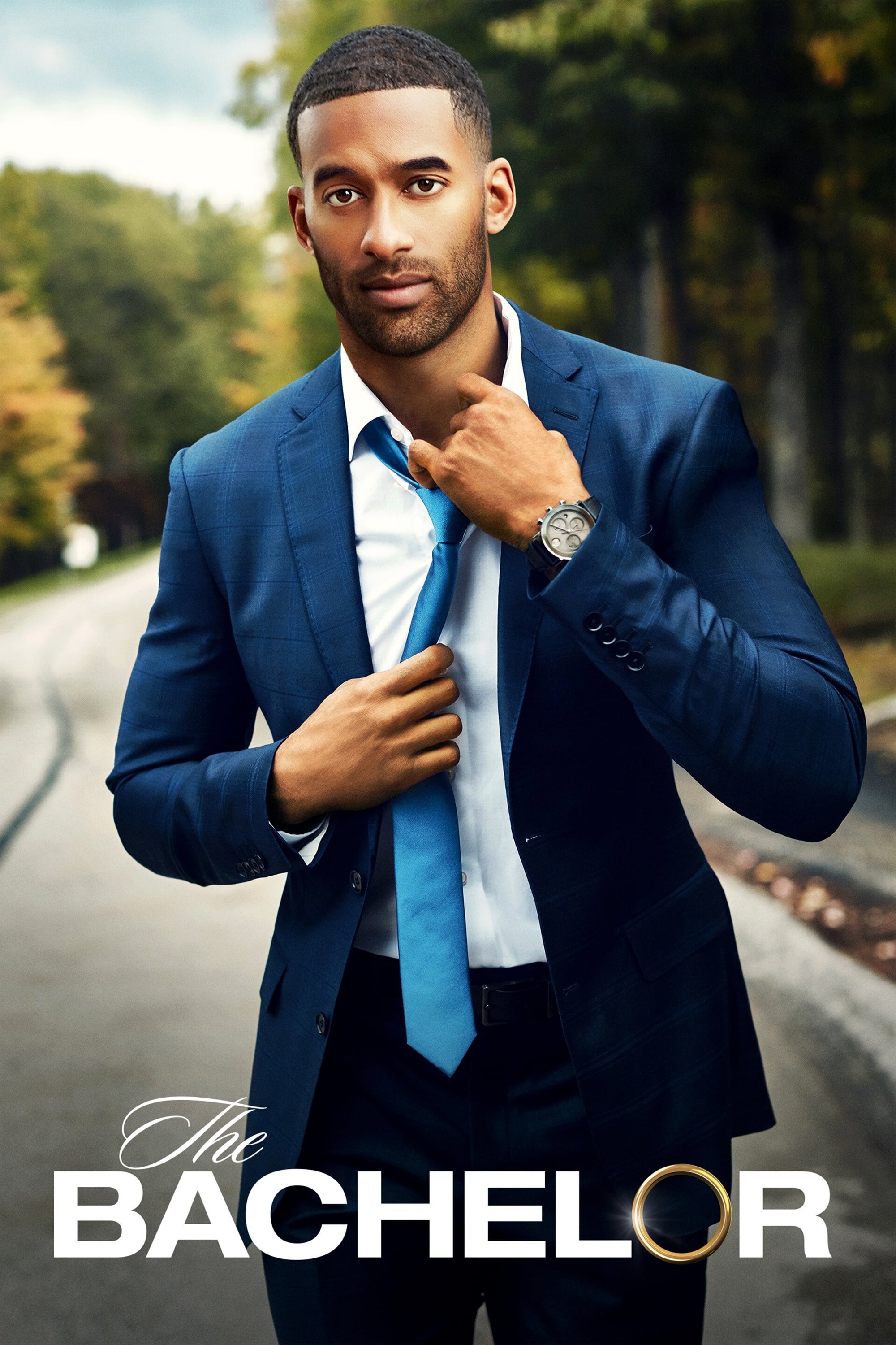 Download TV Show The Bachelor Image