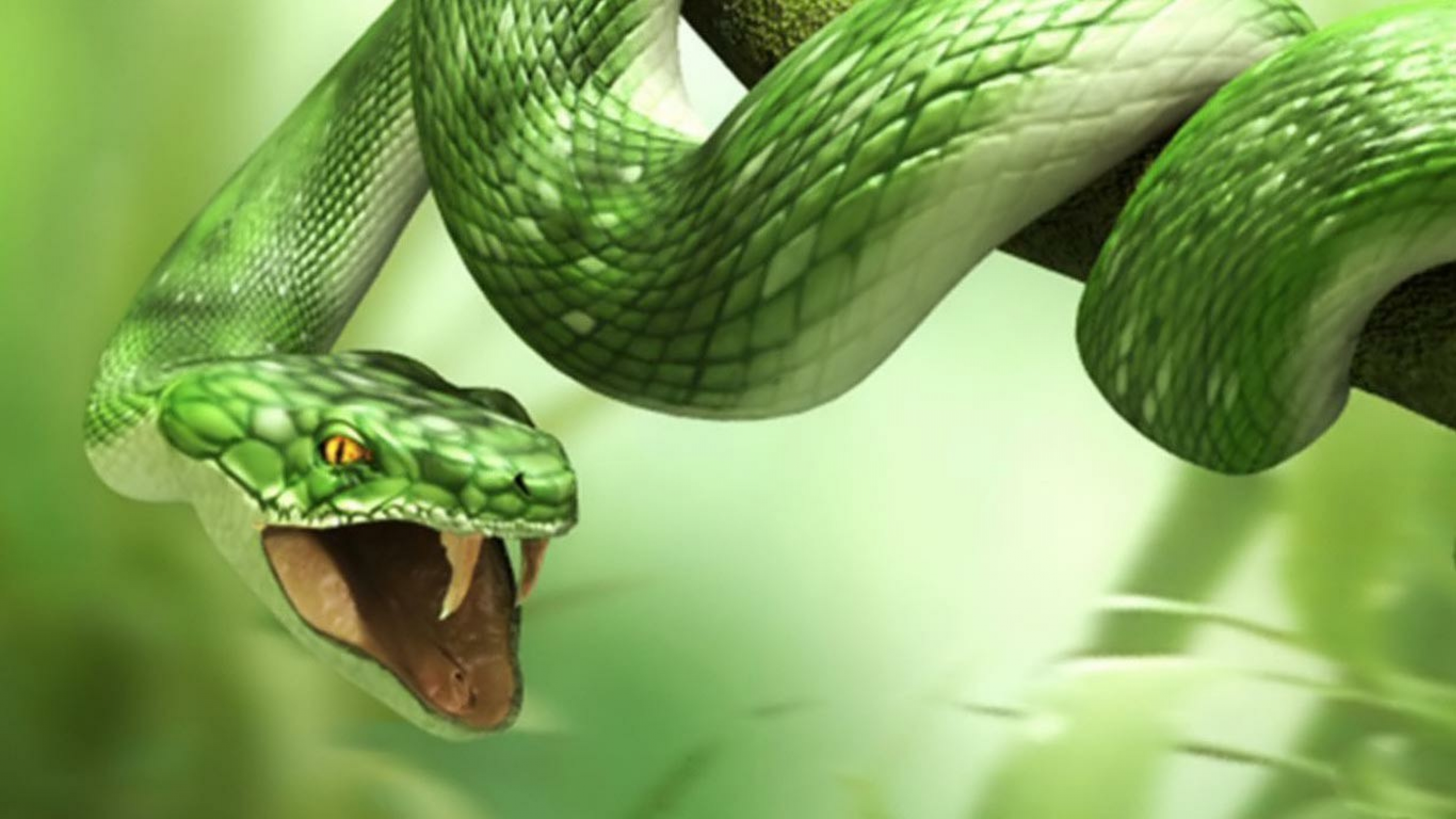 Download Green Animal Snake Image