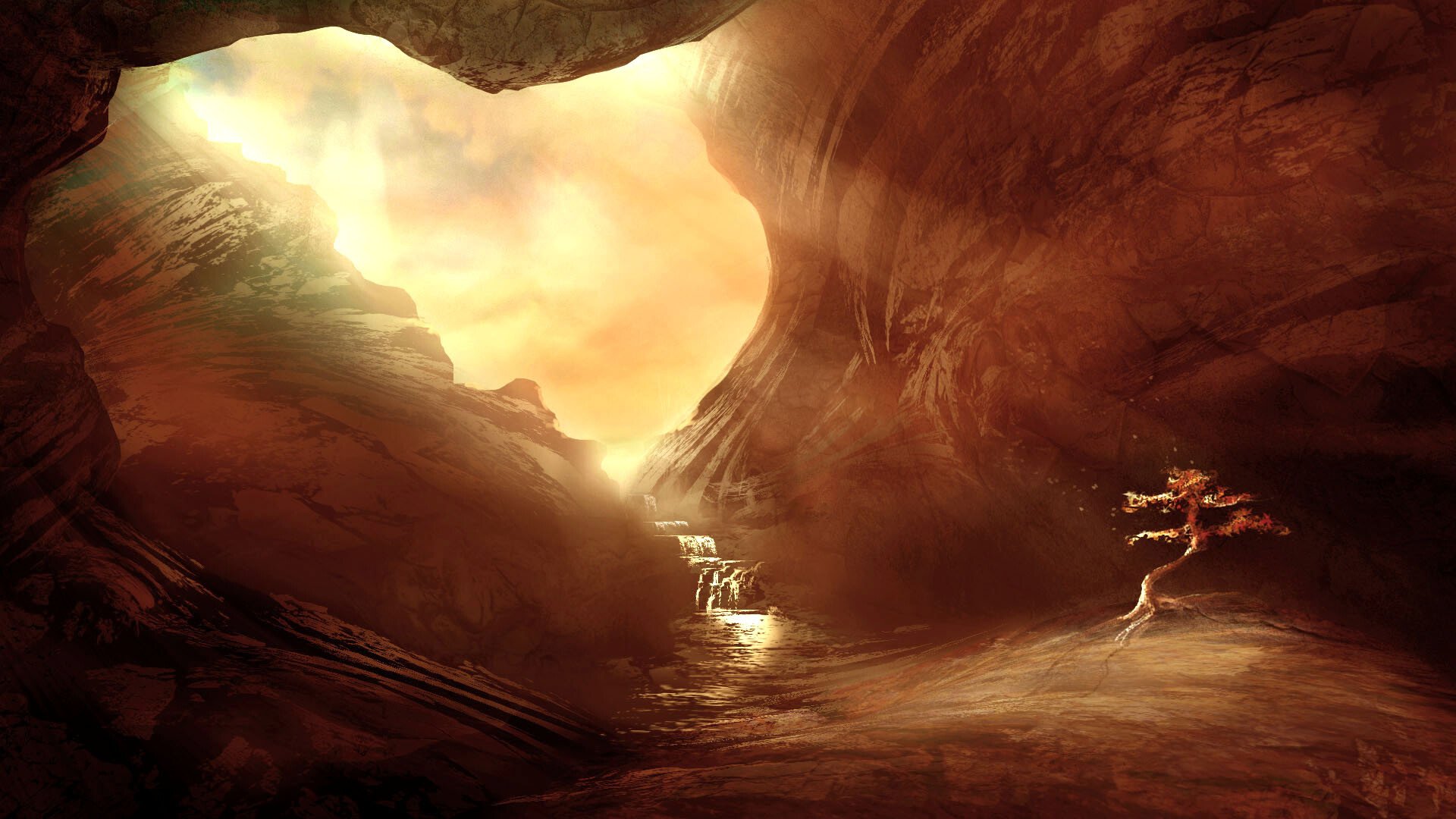 Bonsai - Desktop Wallpapers, Phone Wallpaper, PFP, Gifs, and More!