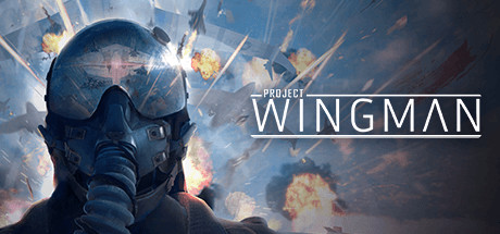 Download Video Game Project Wingman Image