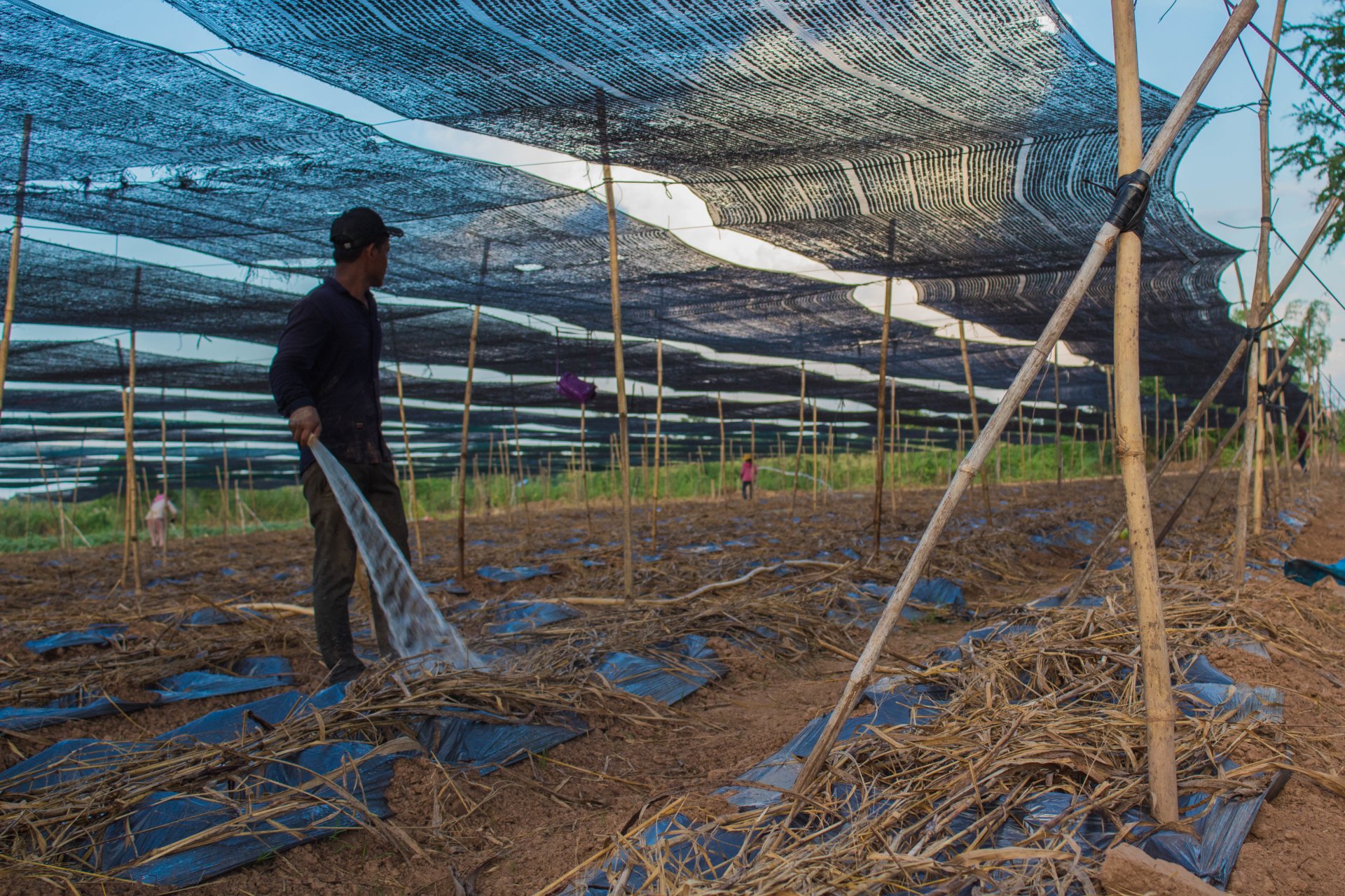 Farming - Desktop Wallpapers, Phone Wallpaper, PFP, Gifs, and More!