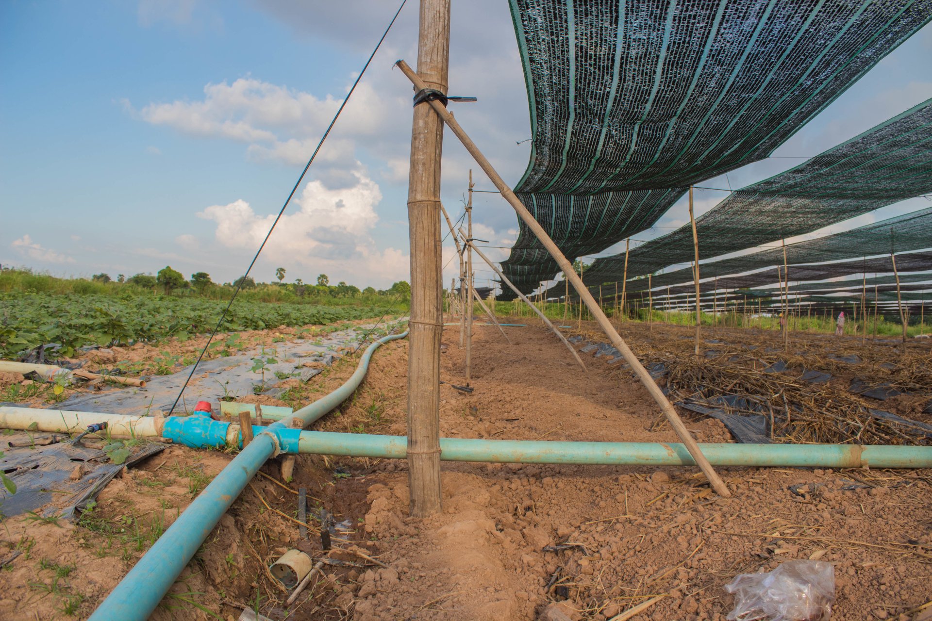 Farming - Desktop Wallpapers, Phone Wallpaper, PFP, Gifs, and More!