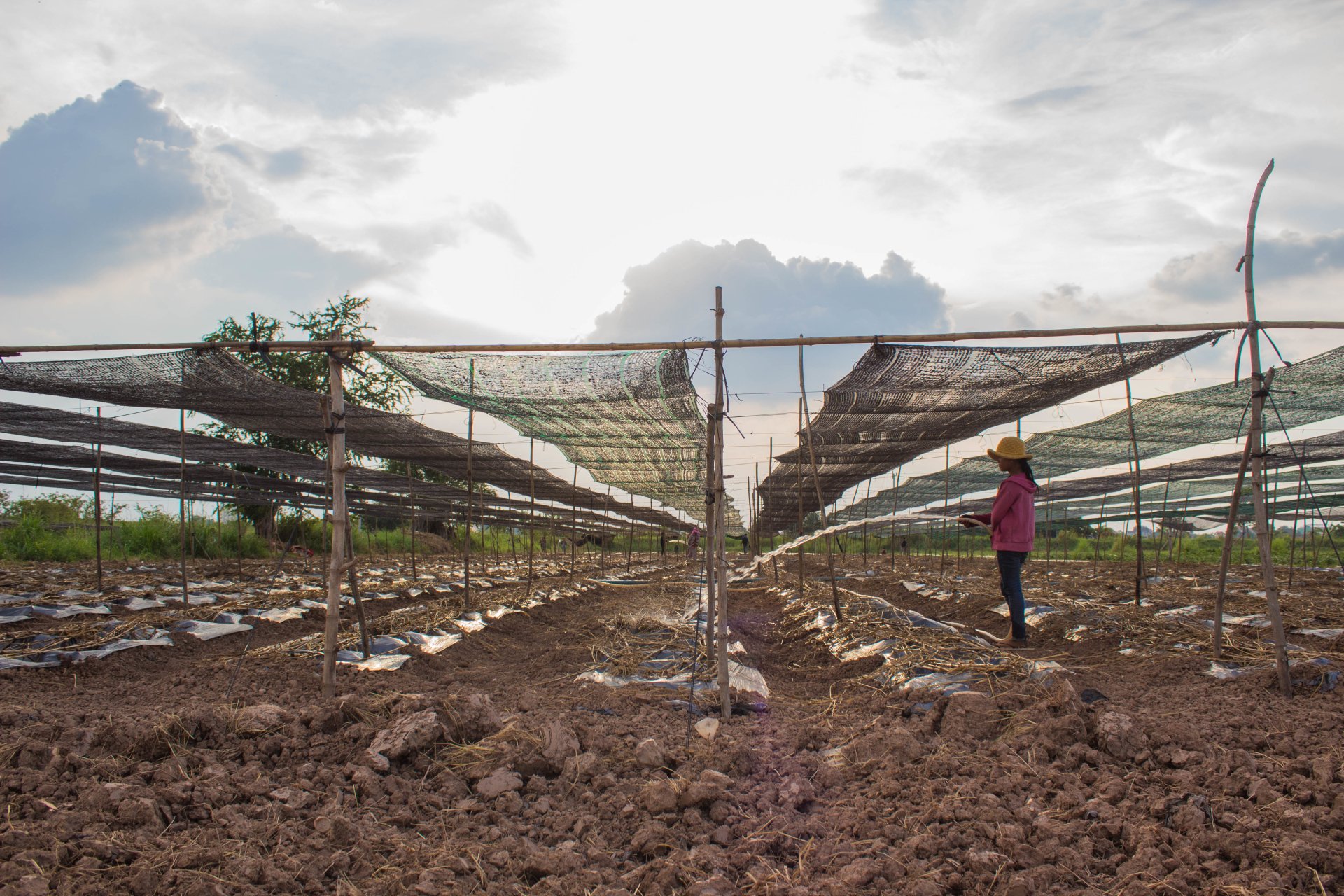 Farming - Desktop Wallpapers, Phone Wallpaper, PFP, Gifs, and More!