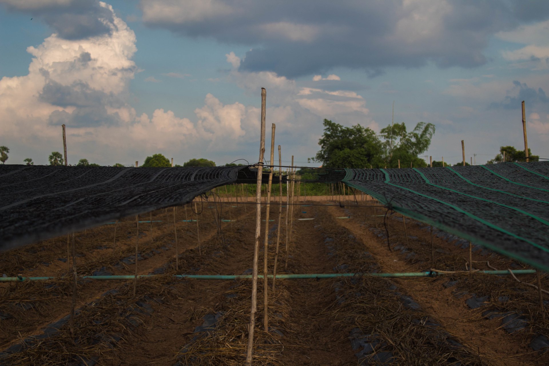 Farming - Desktop Wallpapers, Phone Wallpaper, PFP, Gifs, and More!