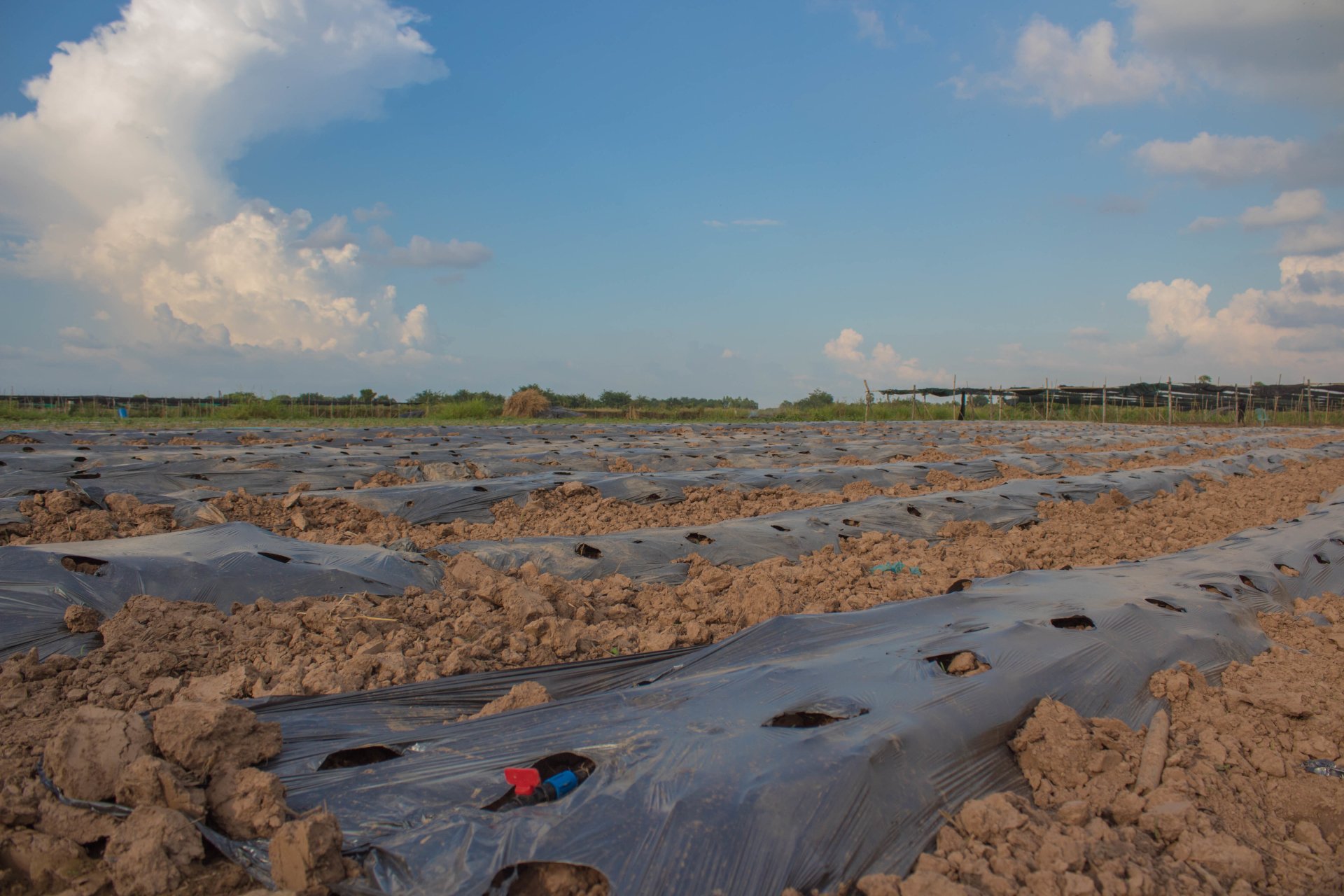 Farming - Desktop Wallpapers, Phone Wallpaper, PFP, Gifs, and More!